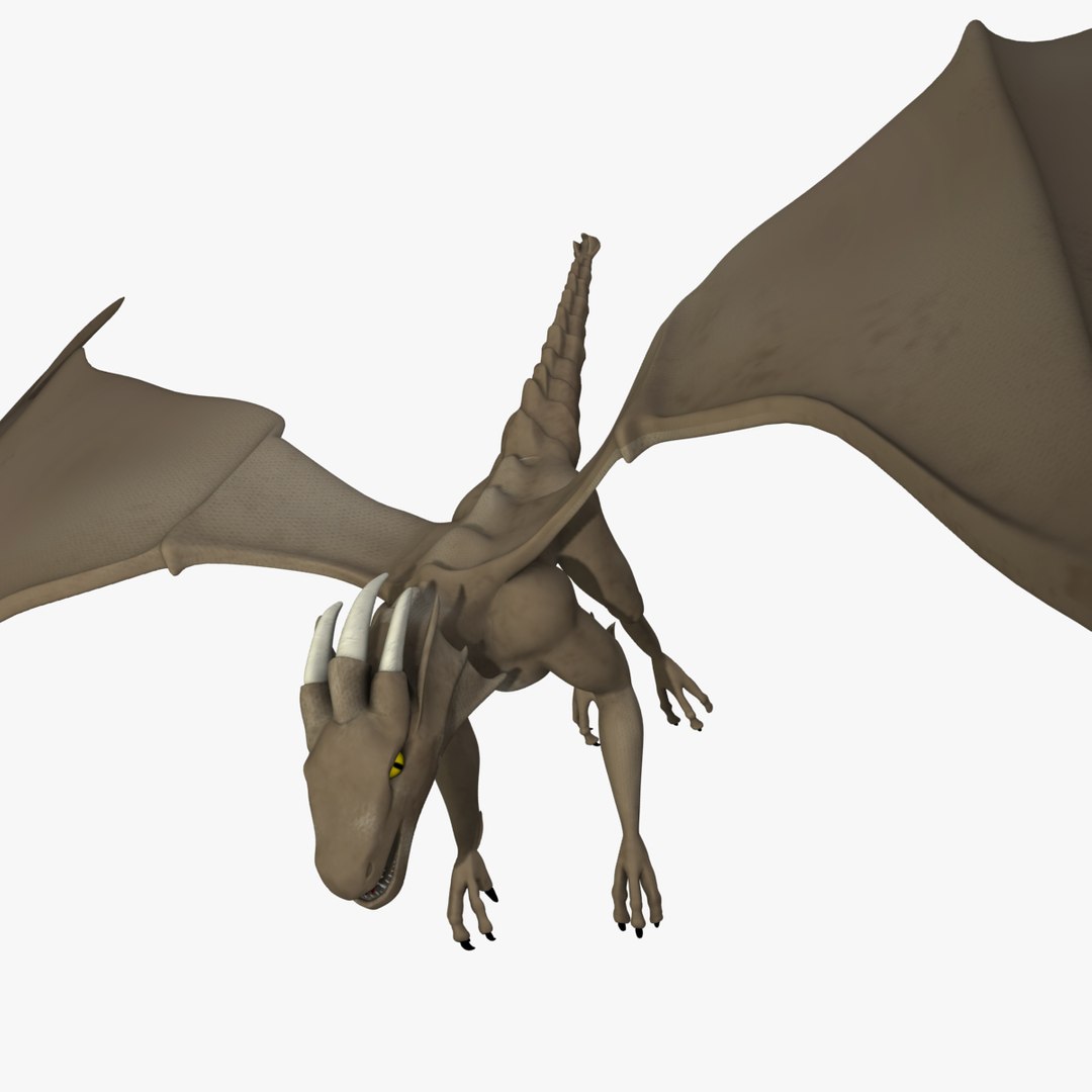 Max Dragon