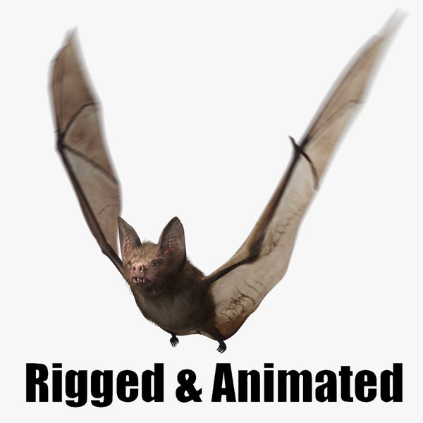 modelo 3d animated bat - TurboSquid 1942607