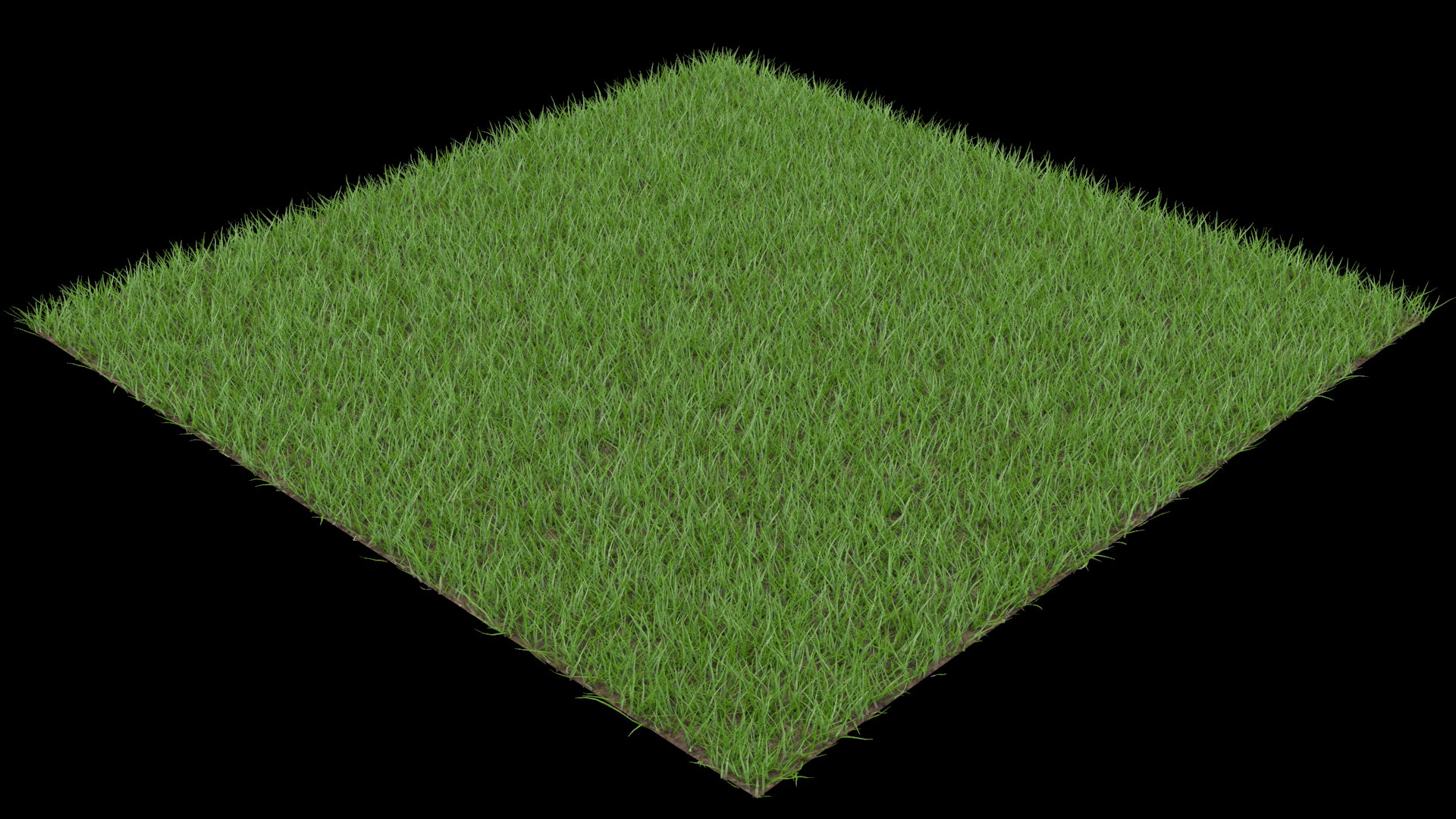 Grass Patch 3D Model - TurboSquid 1491070