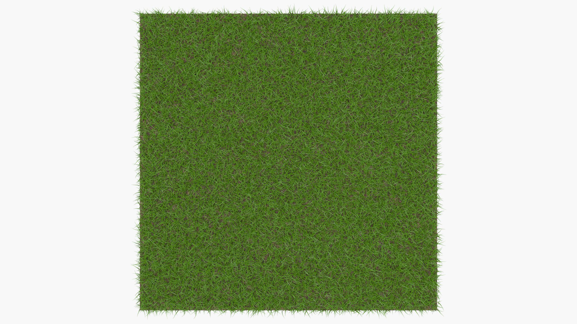 Grass Patch 3D Model - TurboSquid 1491070