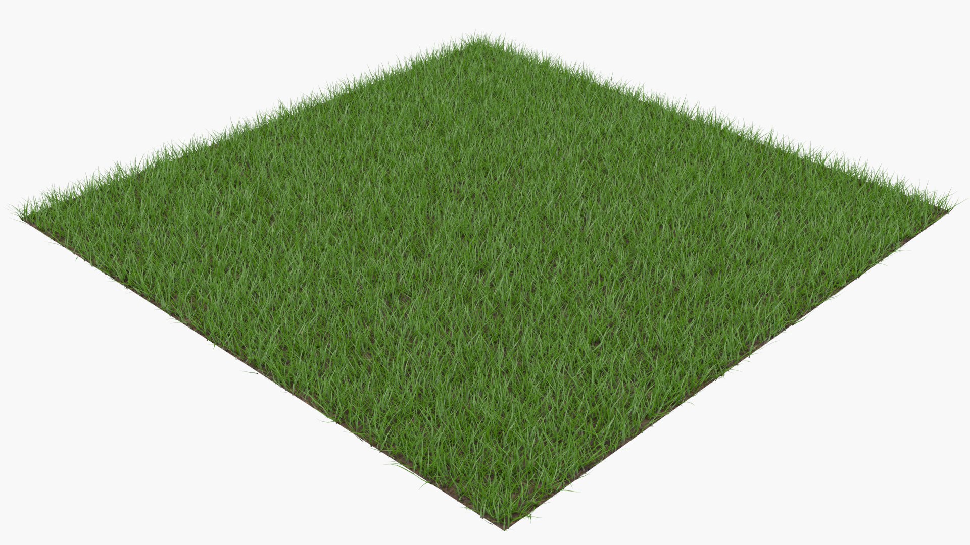 Grass Patch 3D Model - TurboSquid 1491070