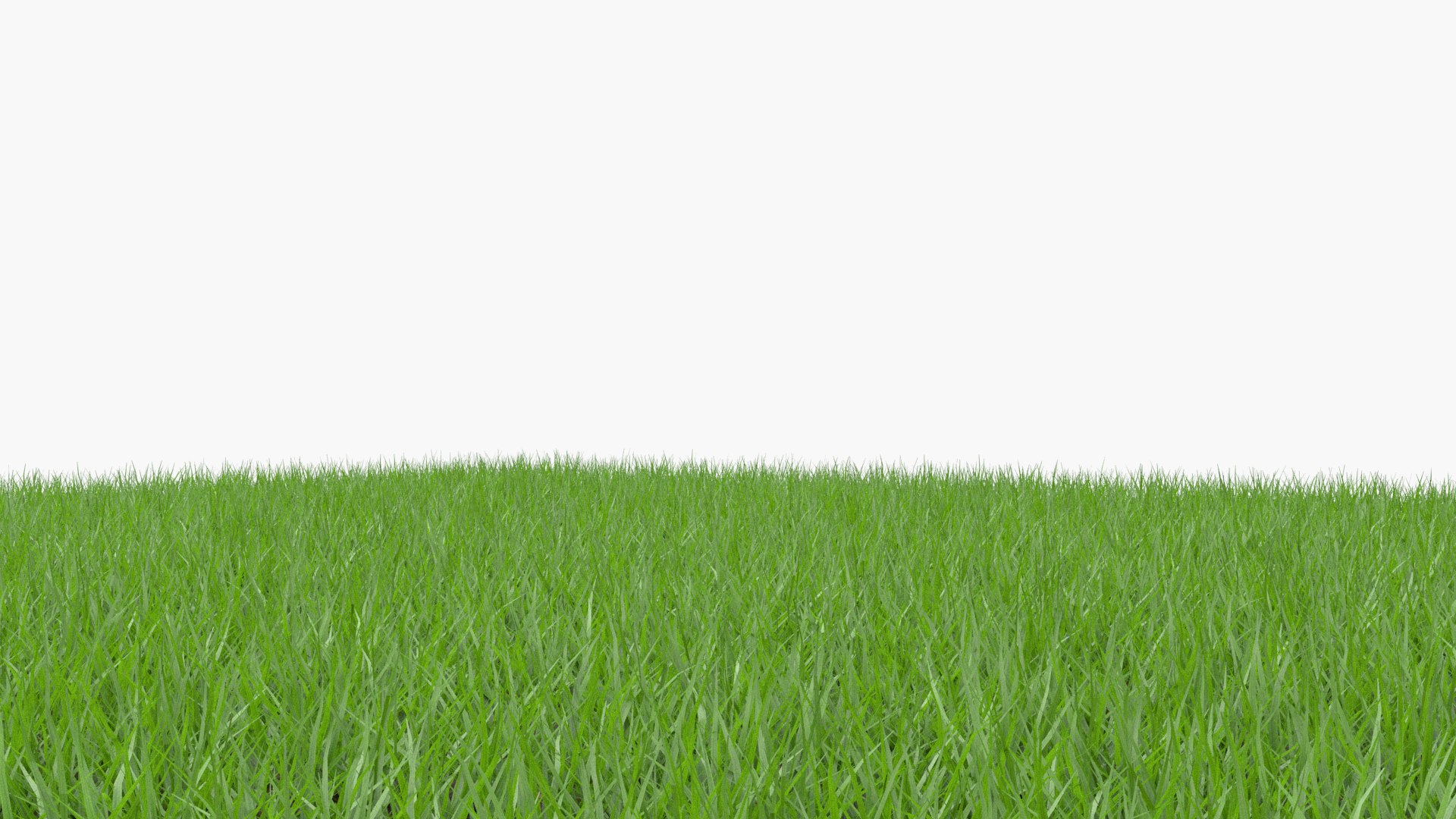 Grass Patch 3D Model - TurboSquid 1491070