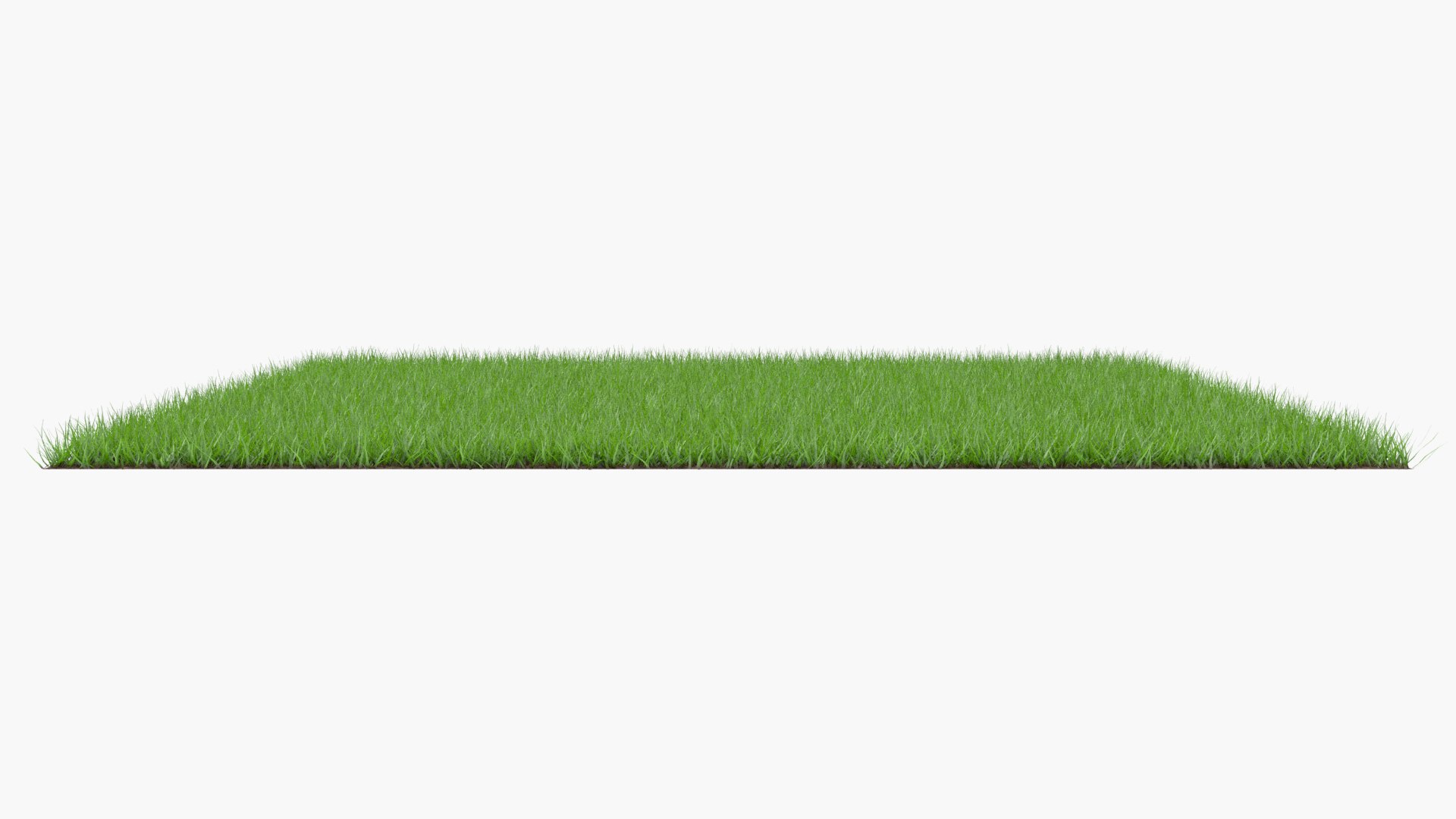 Grass Patch 3D Model - TurboSquid 1491070
