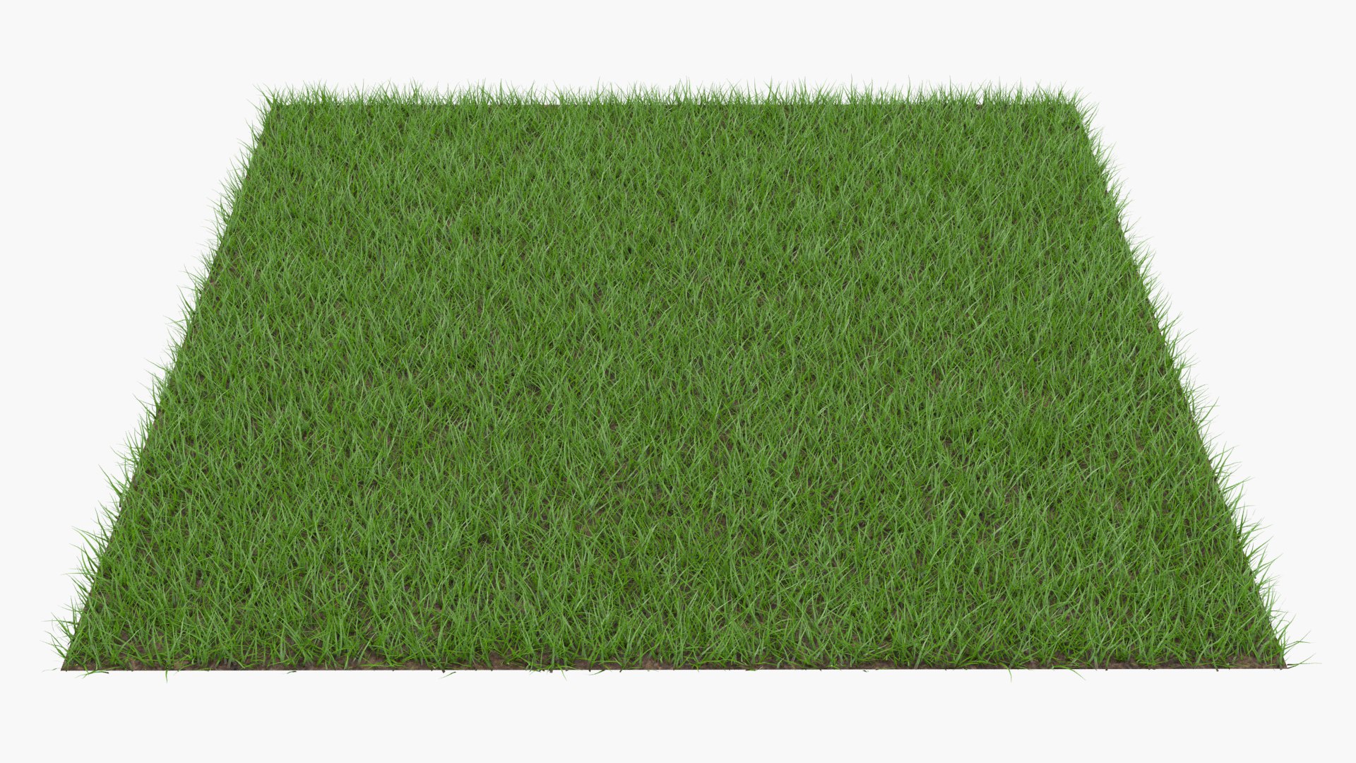 Grass Patch 3D Model - TurboSquid 1491070