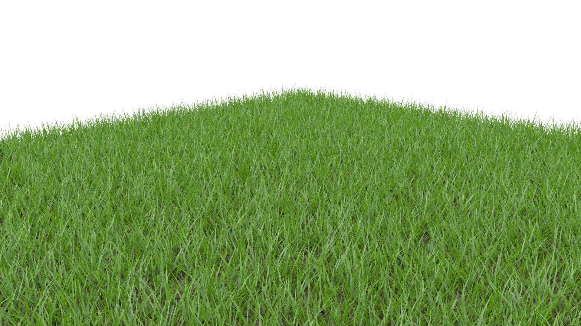 Grass Patch 3D Model - TurboSquid 1491070