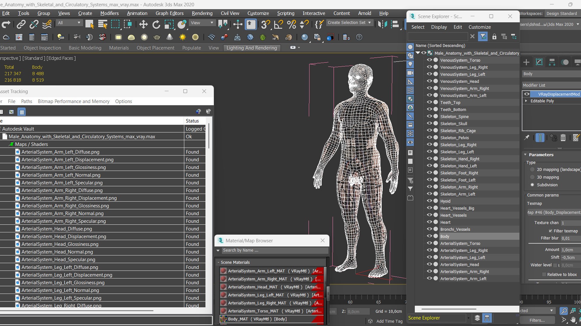 3D Male Anatomy With Skeletal And Circulatory Systems - TurboSquid 2416906