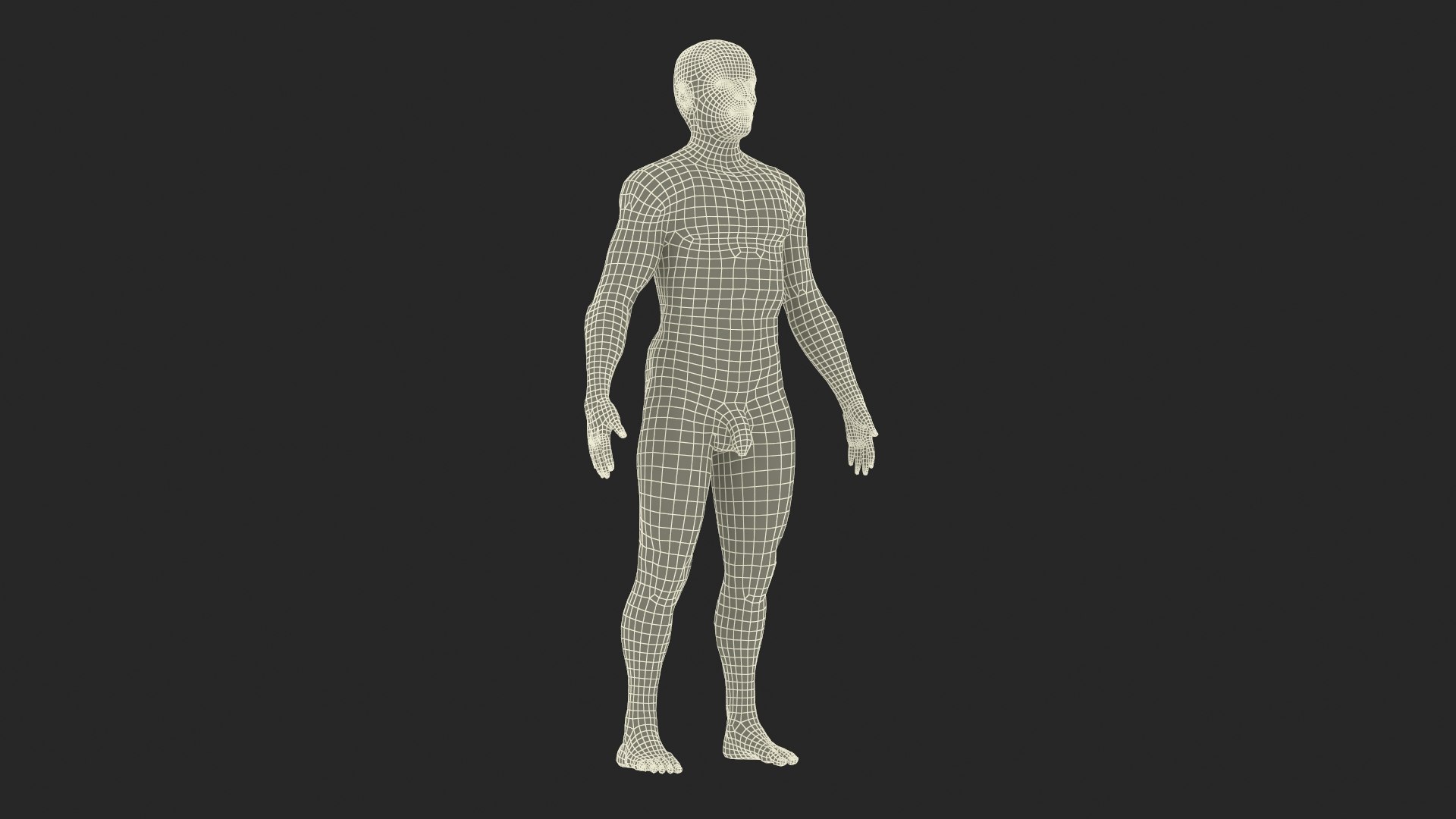 3D Male Anatomy With Skeletal And Circulatory Systems - TurboSquid 2416906