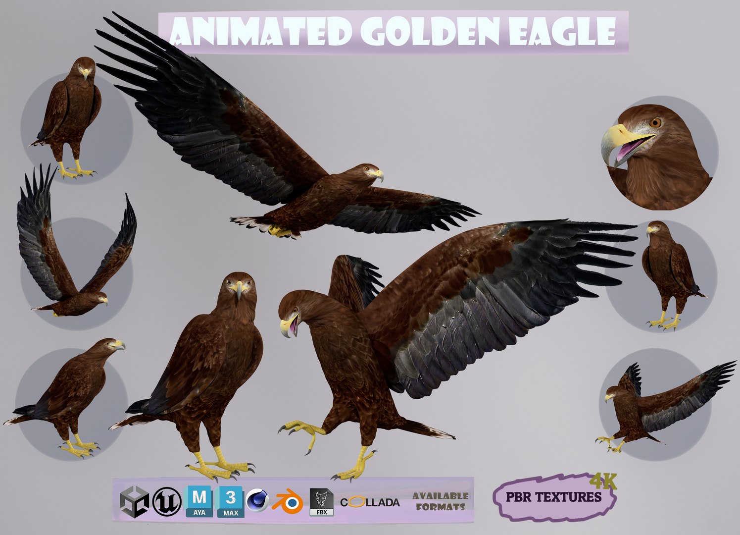 Animated Realistic Golden Eagle 3D - TurboSquid 2112252