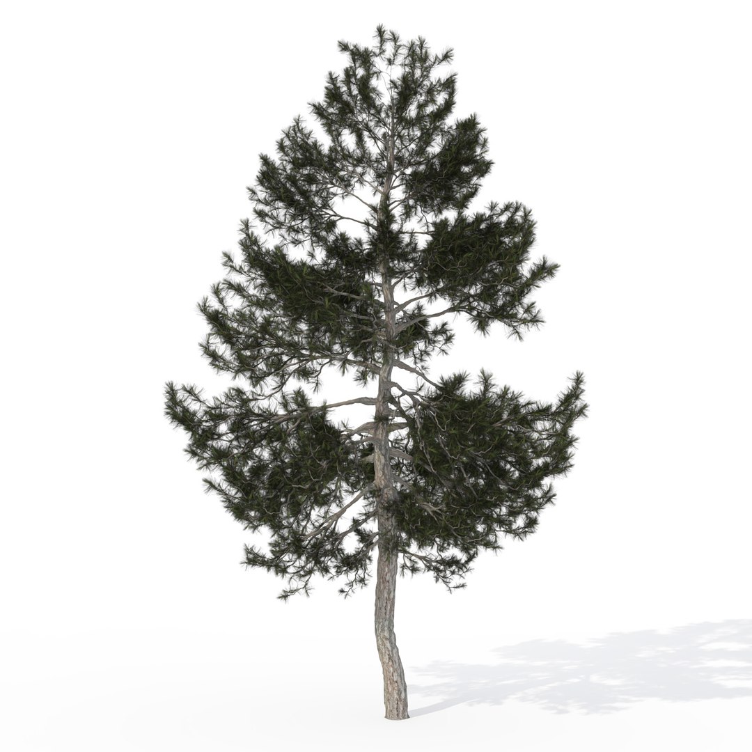 European Trees 1 Europe 3ds