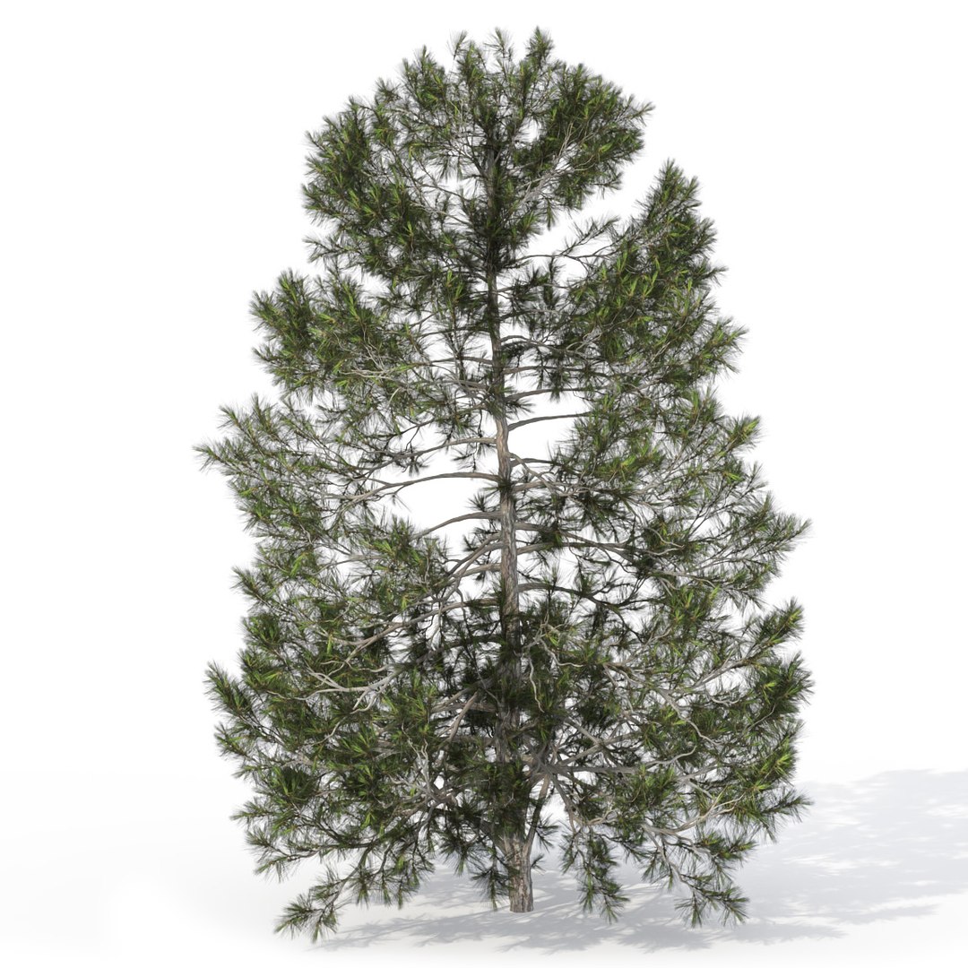 European Trees 1 Europe 3ds