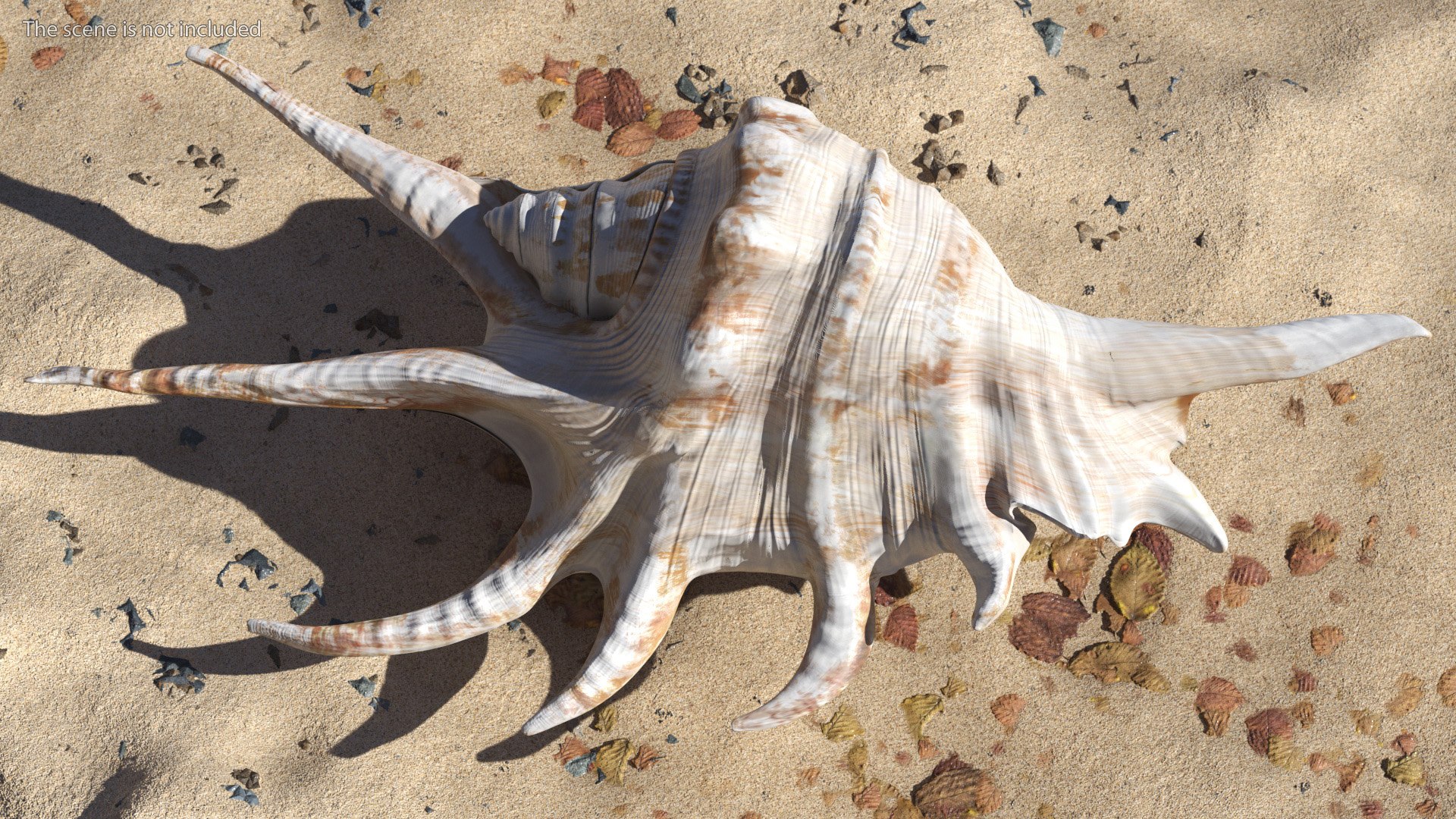 Scorpio Spider Shell 3D - TurboSquid 1975143