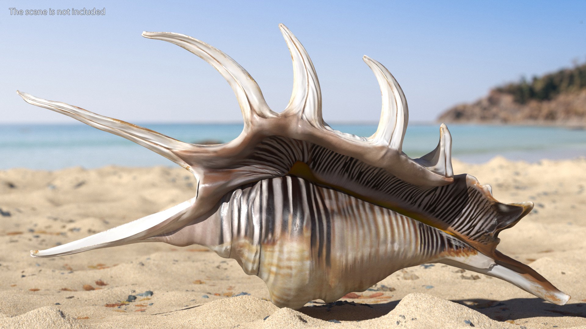 Scorpio Spider Shell 3D - TurboSquid 1975143