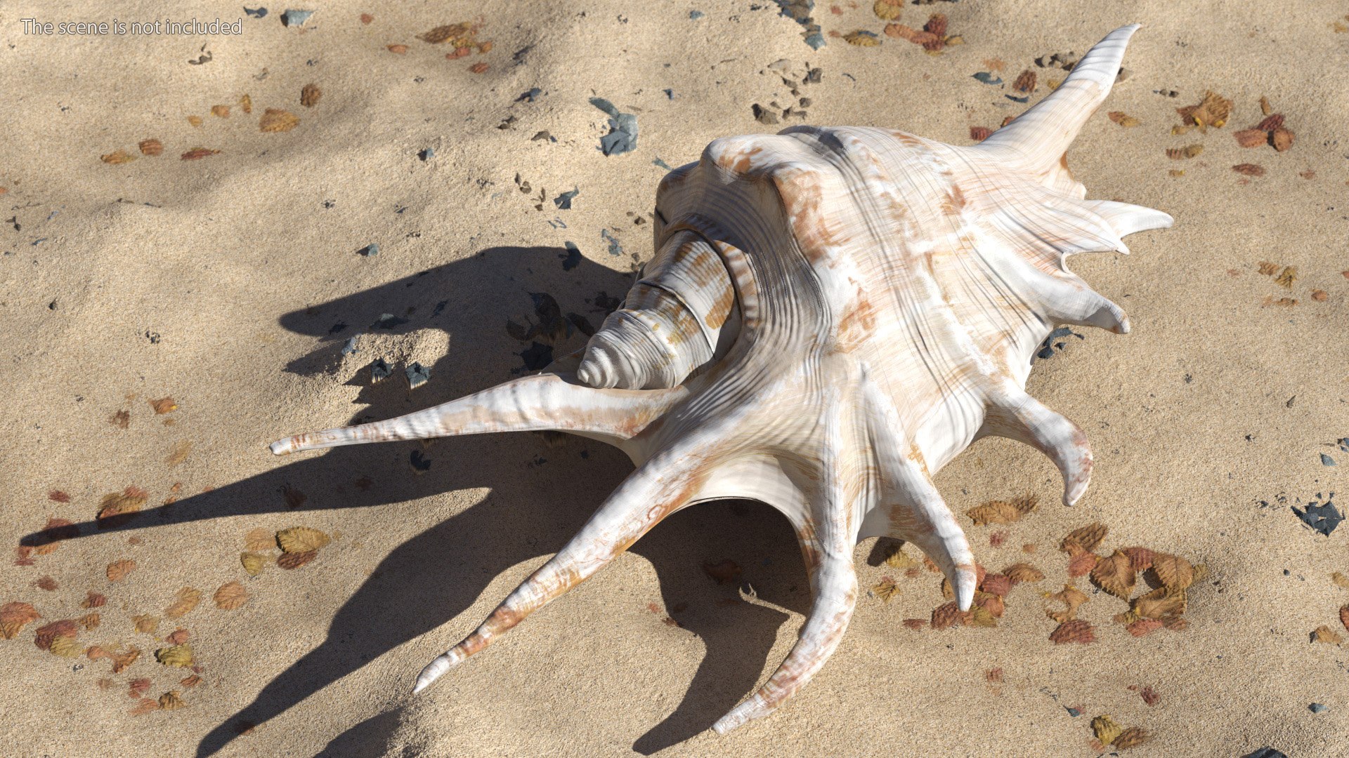 Scorpio Spider Shell 3D - TurboSquid 1975143