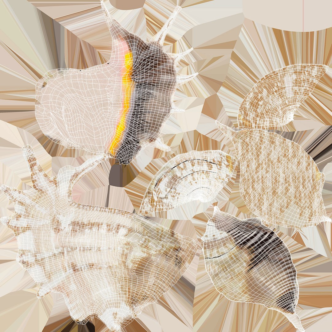 Scorpio Spider Shell 3D - TurboSquid 1975143