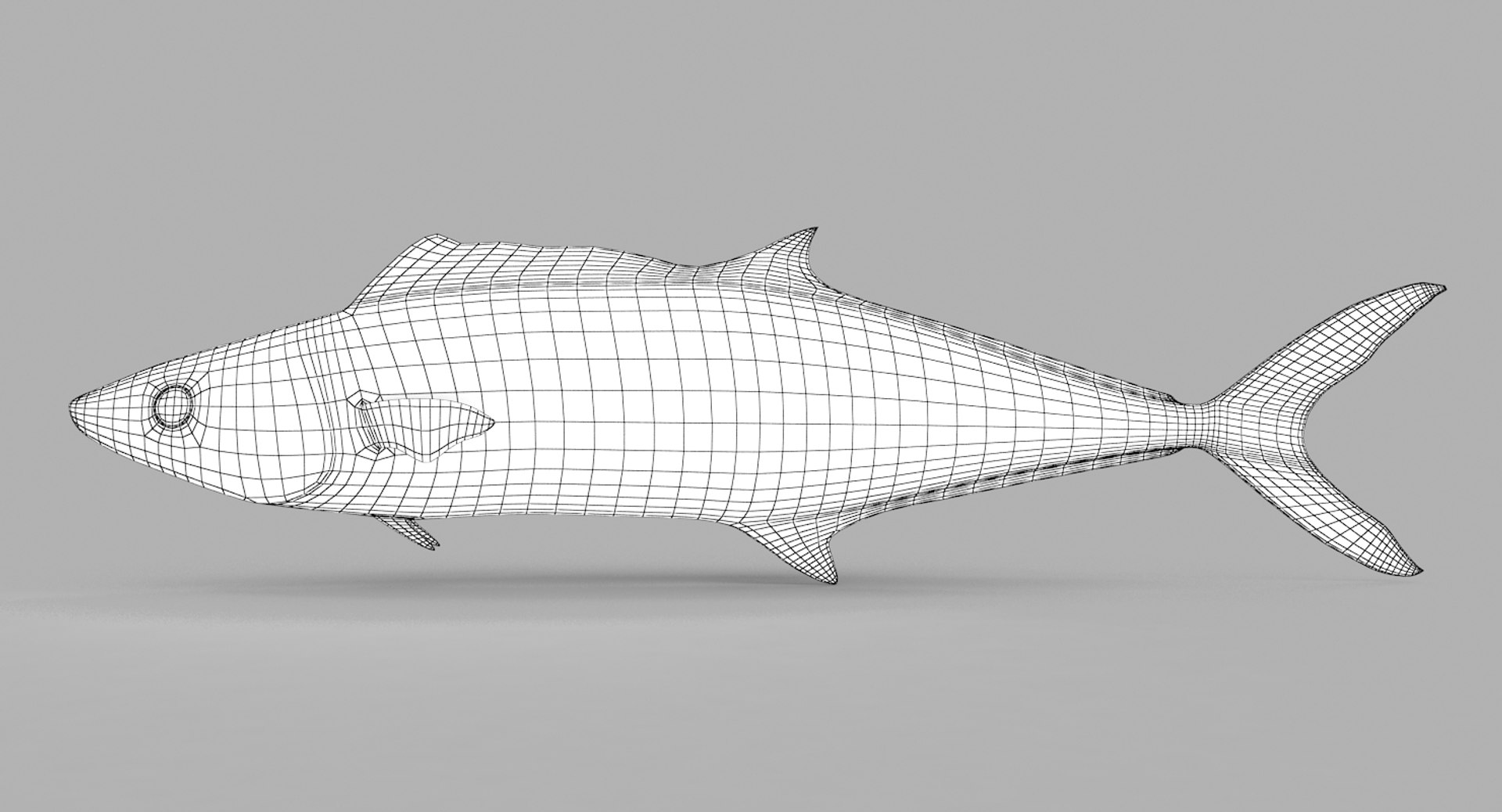 3D Queenfish Fish Model - TurboSquid 1184286