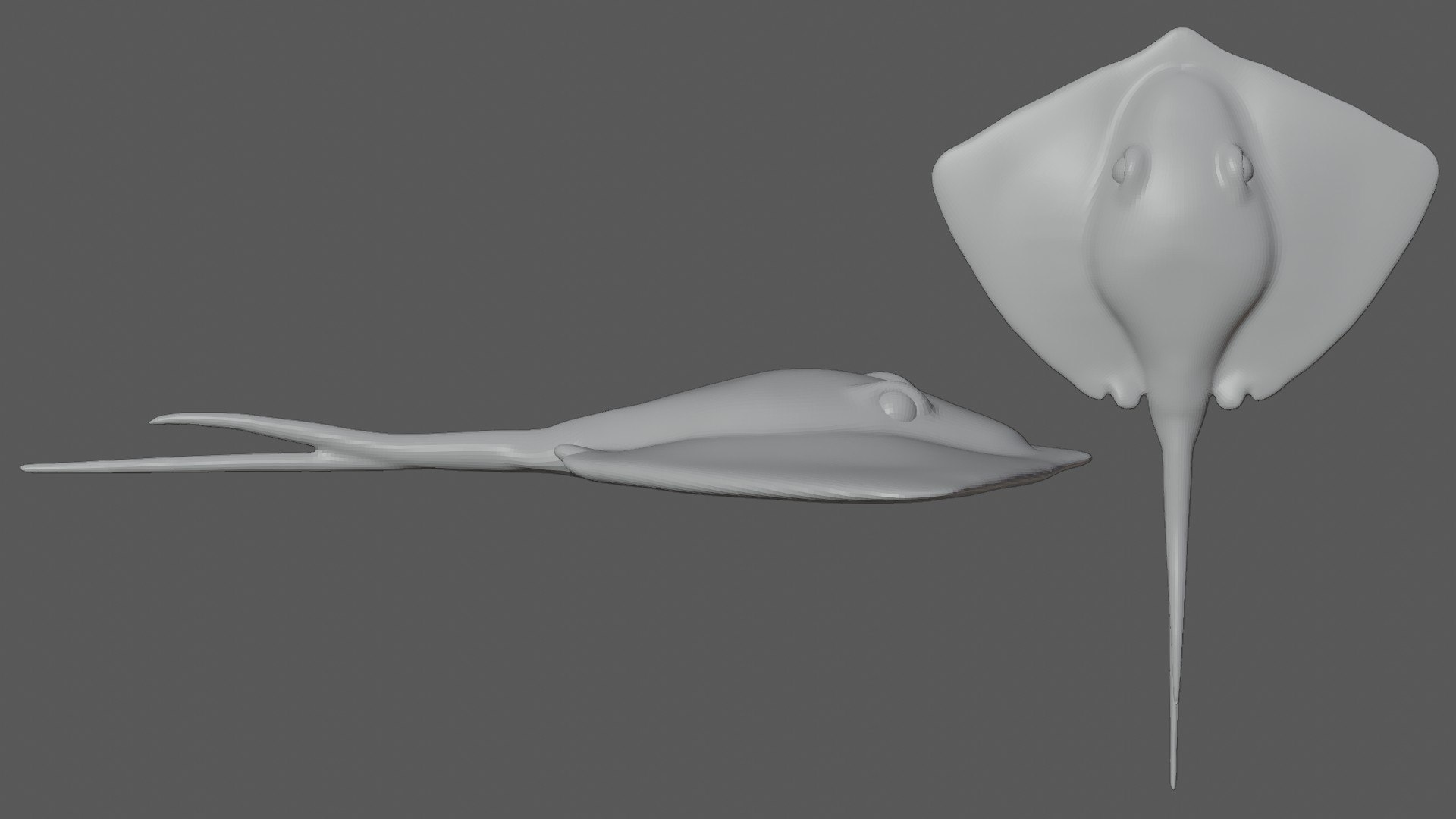 3D Stingray - TurboSquid 1754927