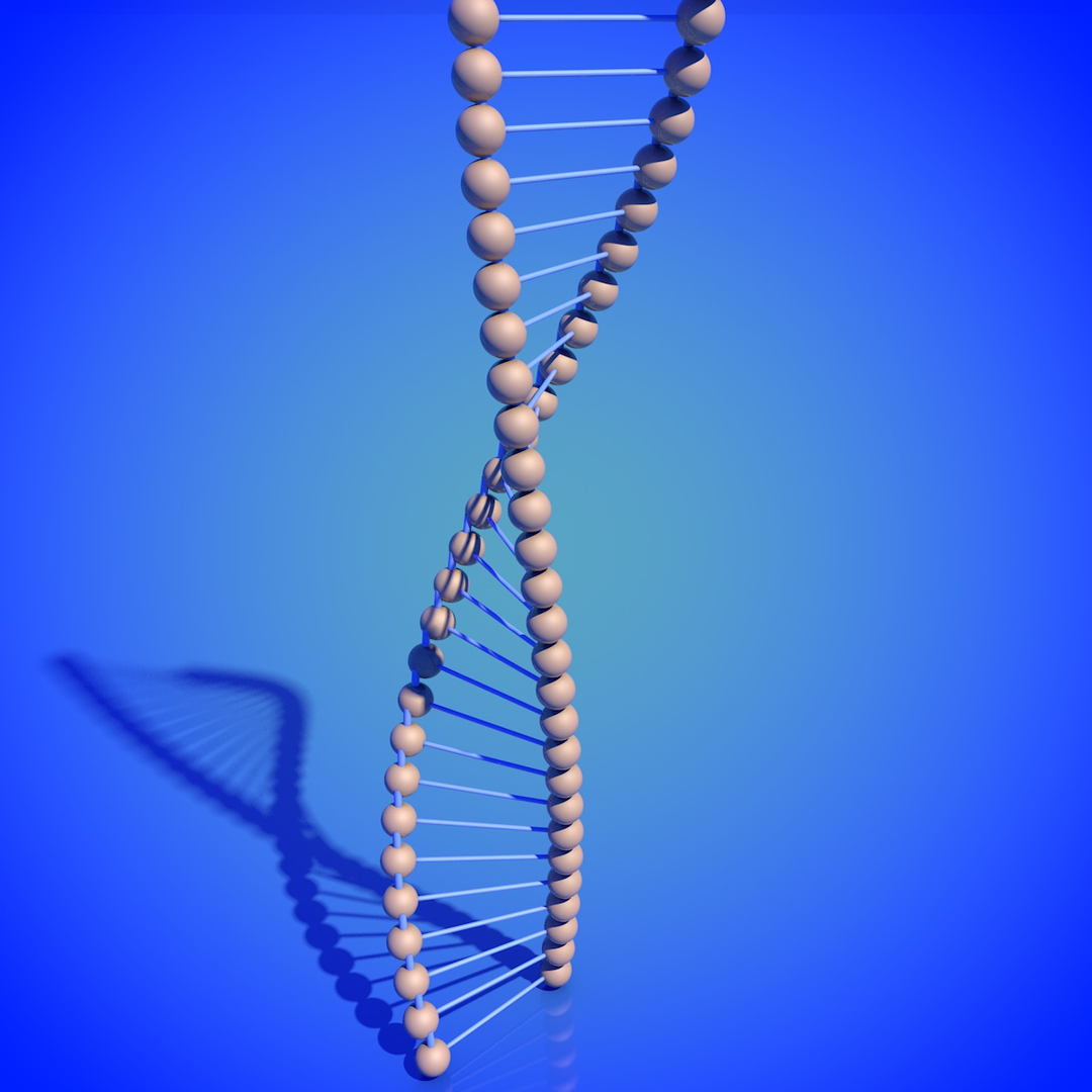Cinema4d Dna