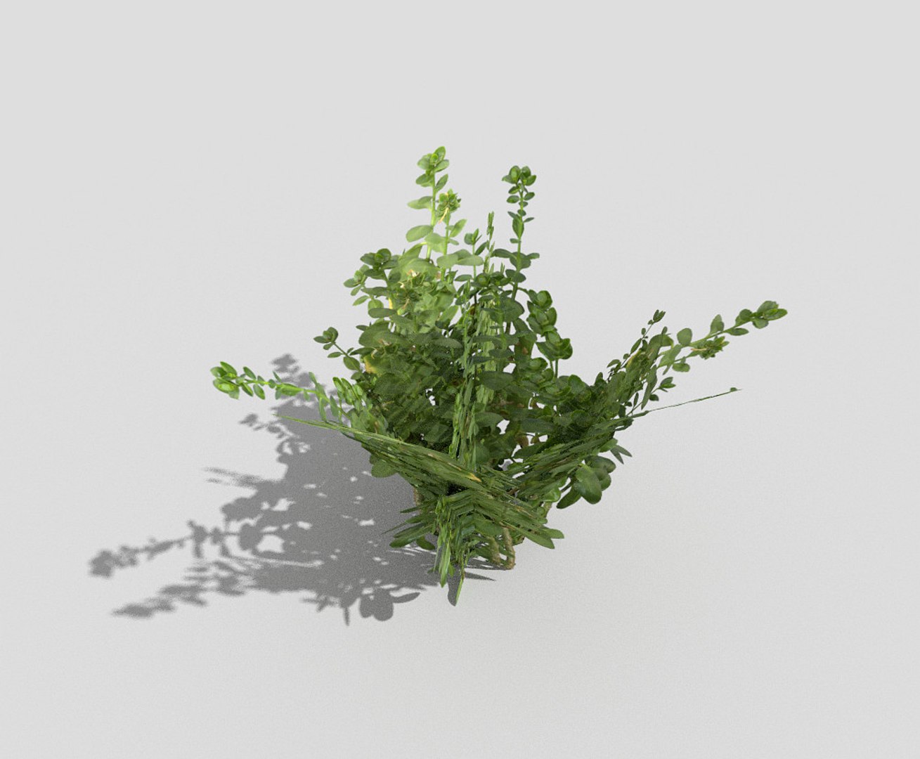 Blend Plant