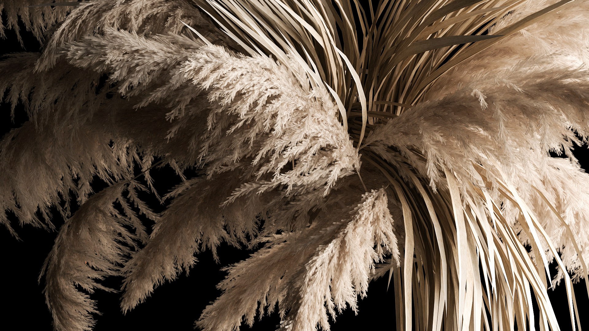 Hanging Bouquet Of Dry Reeds For Decoration 2 Model - TurboSquid 1935630