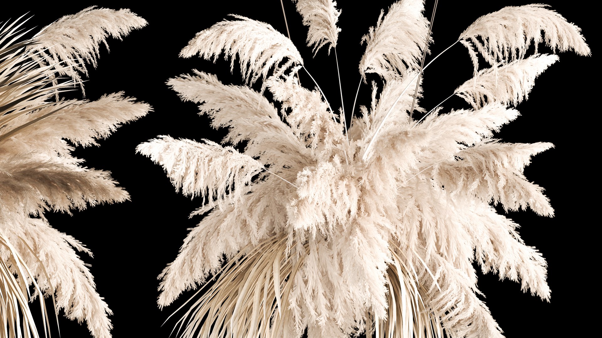 Hanging Bouquet Of Dry Reeds For Decoration 2 Model - TurboSquid 1935630