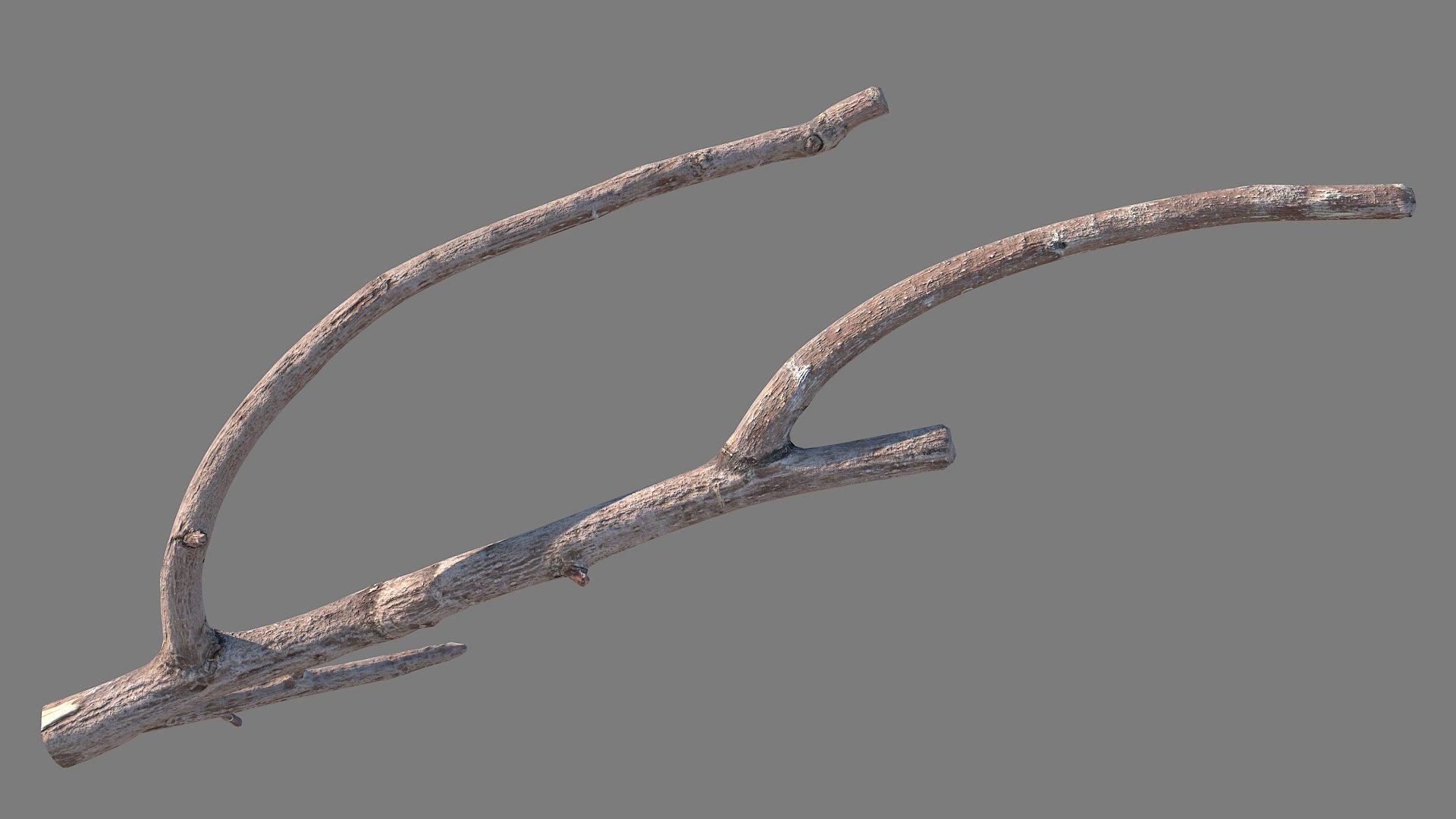 Twig Scanned 17 3D Model - TurboSquid 2088582