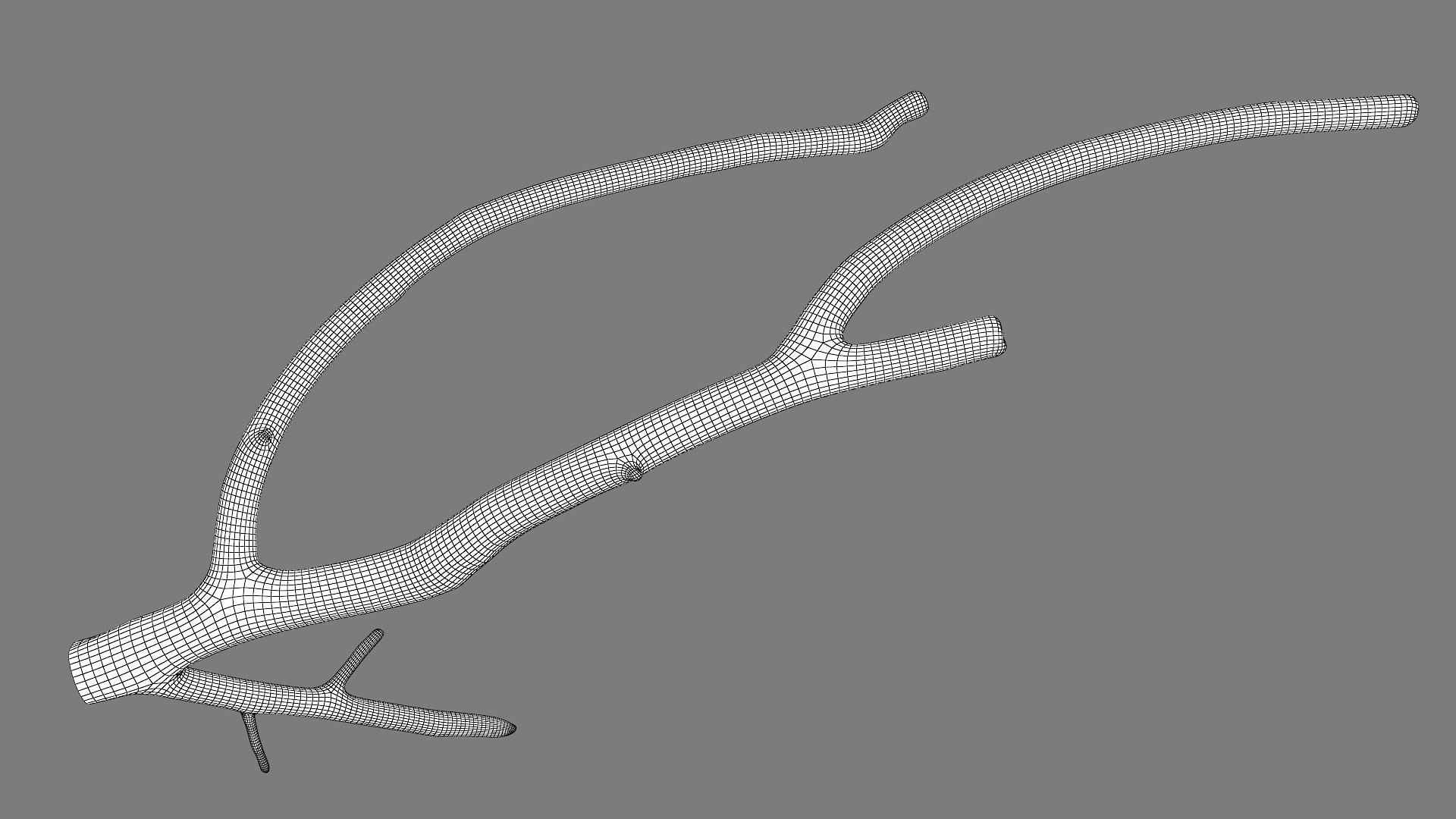 Twig Scanned 17 3D Model - TurboSquid 2088582