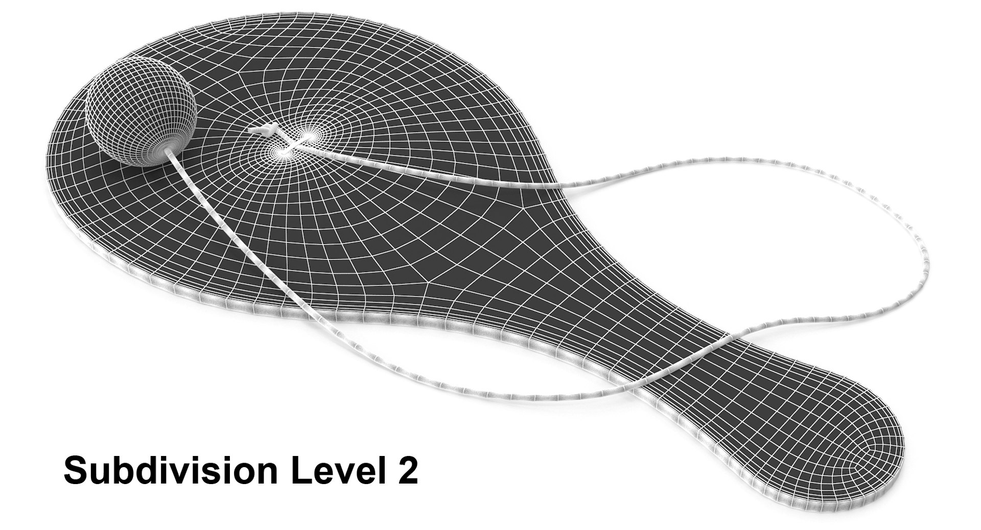 3d Paddle Ball