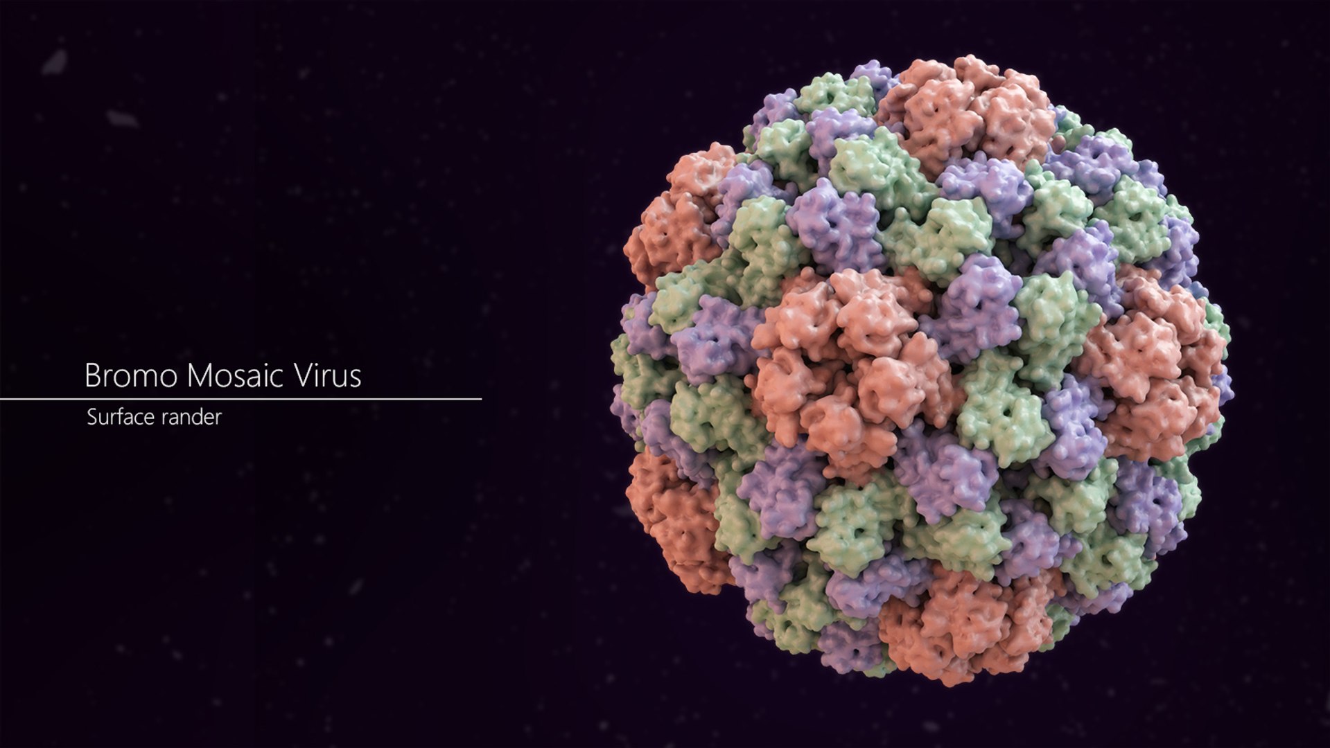 Scientifically accurate structure brome model - TurboSquid 1344751