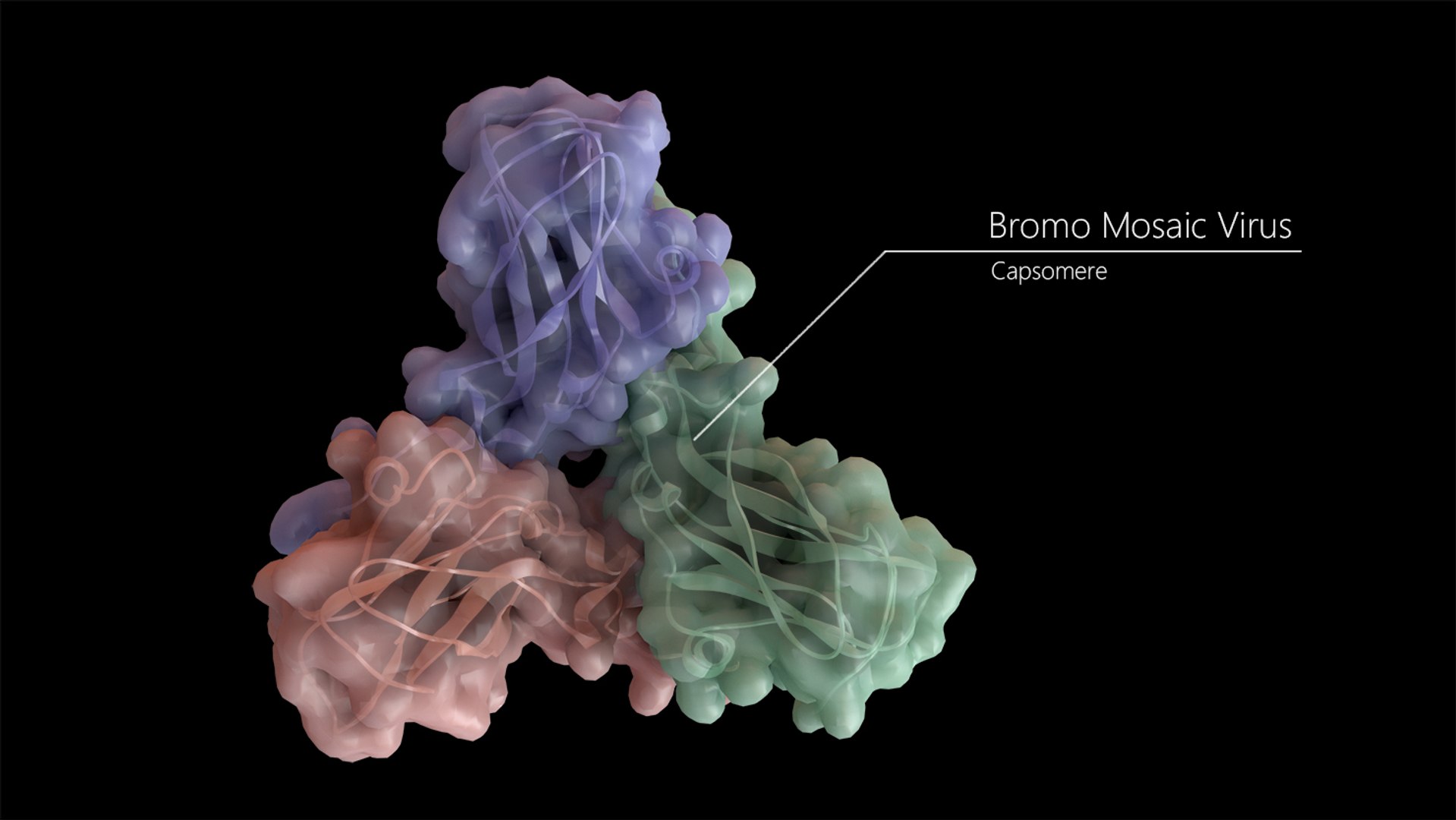 Scientifically accurate structure brome model - TurboSquid 1344751