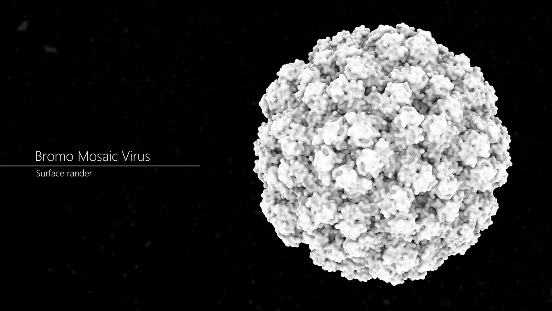 Scientifically accurate structure brome model - TurboSquid 1344751