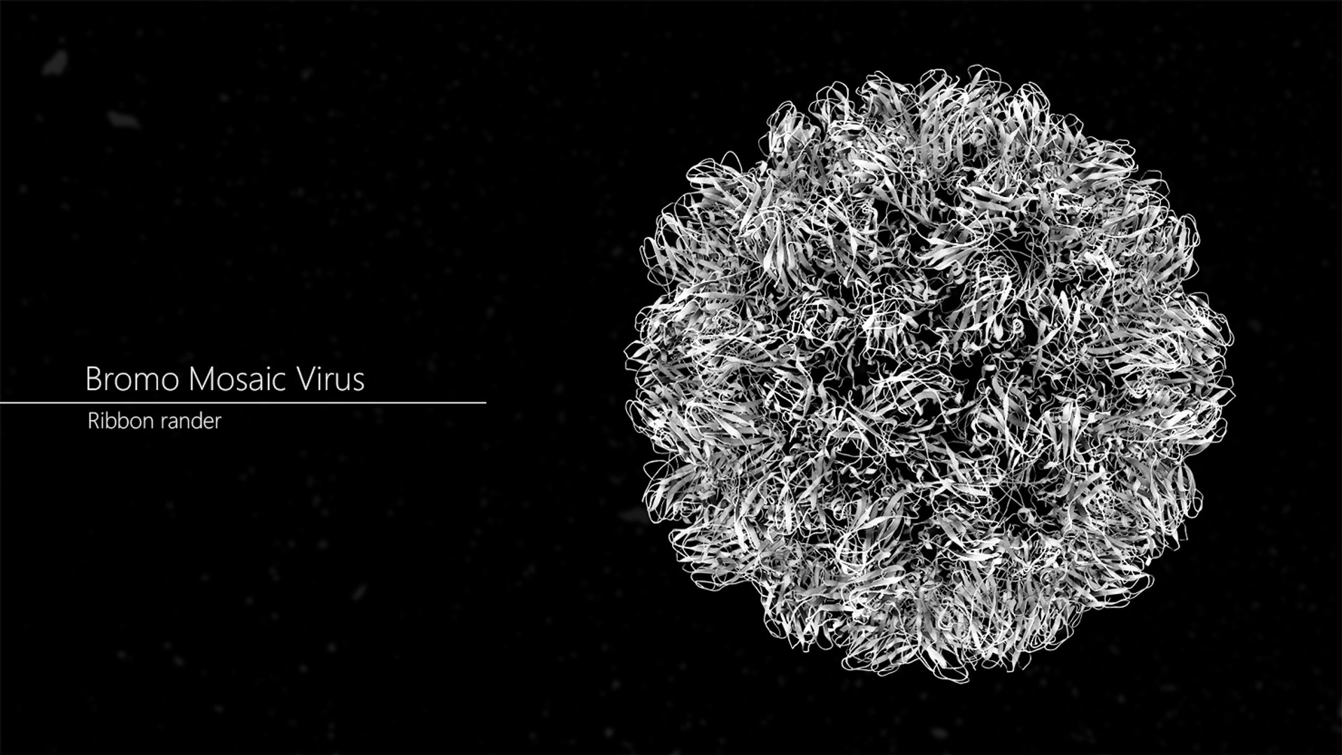 Scientifically accurate structure brome model - TurboSquid 1344751