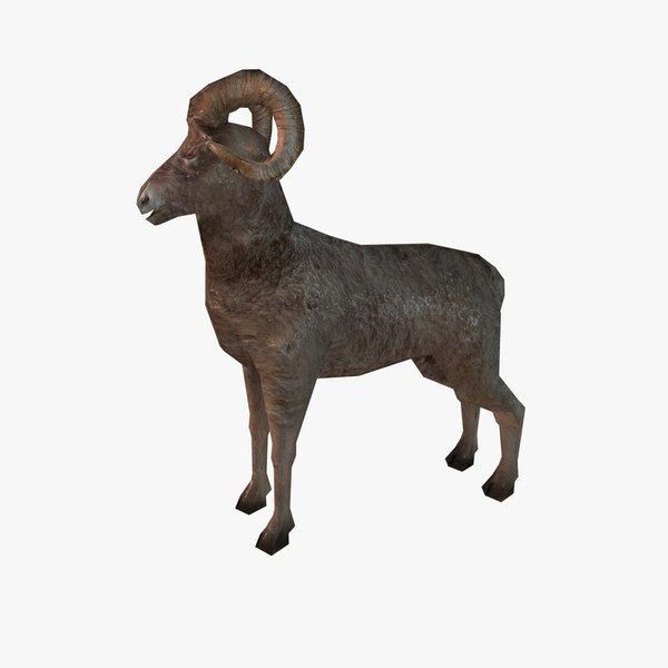 Big Horned Ram 3D Models for Download | TurboSquid