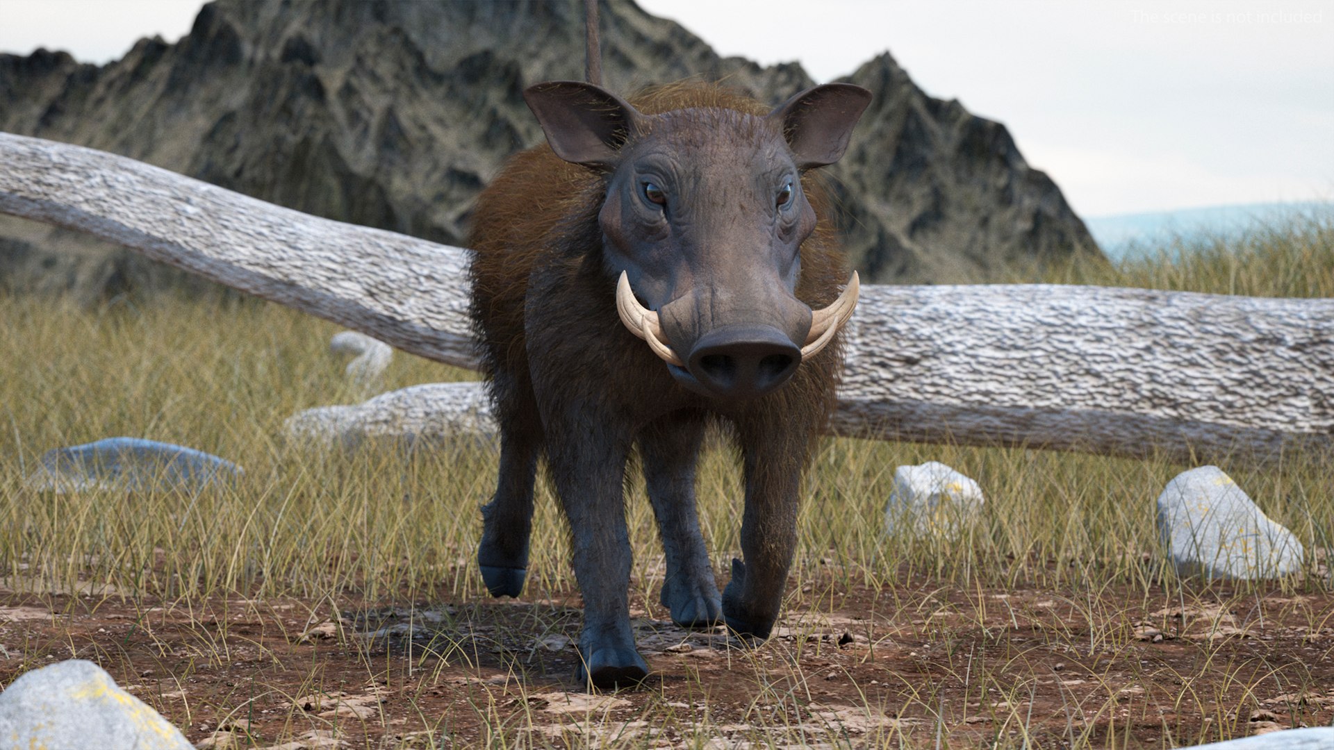 3D African Boar Walking Pose Fur - TurboSquid 2214570