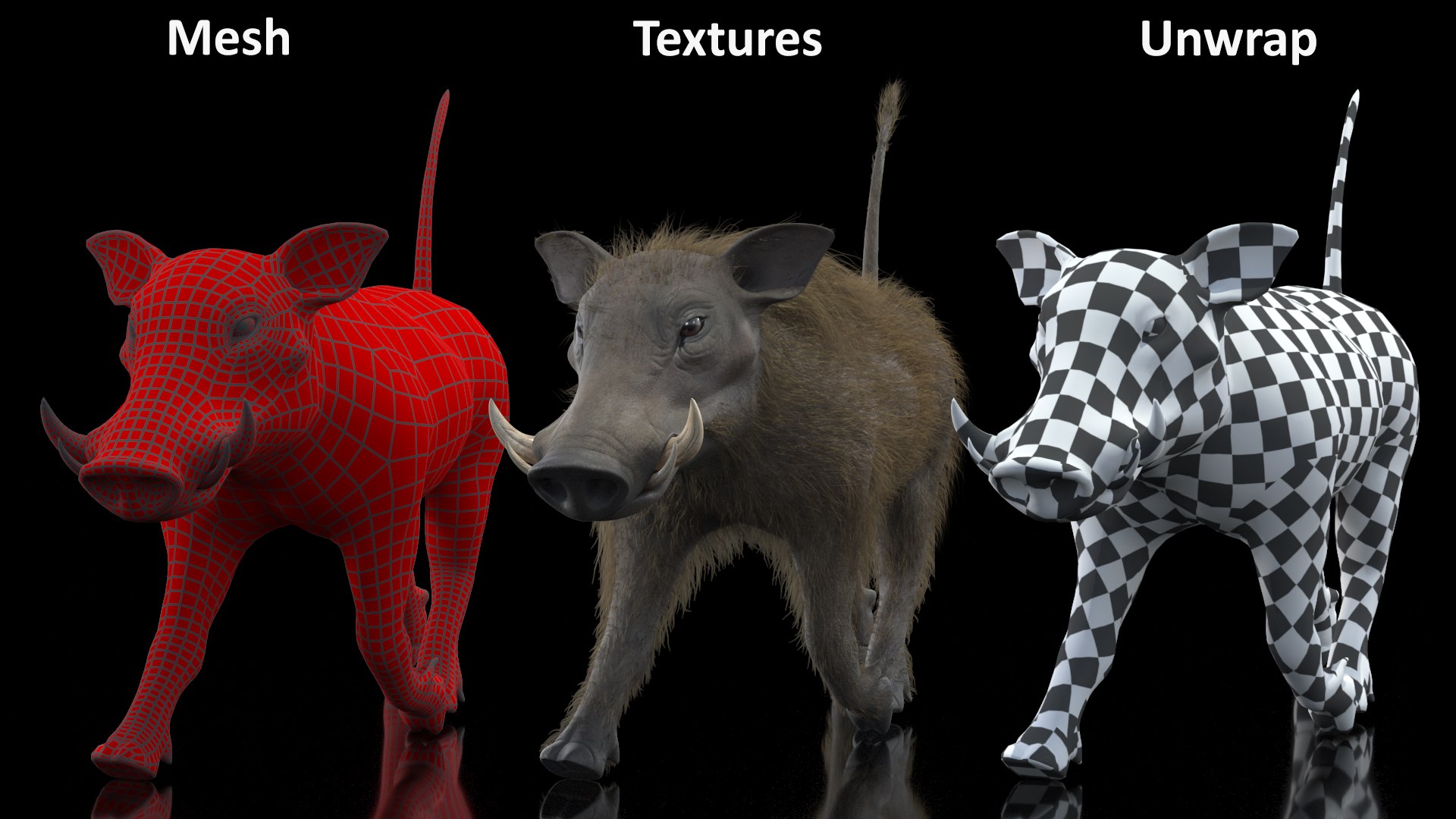 3D African Boar Walking Pose Fur - TurboSquid 2214570