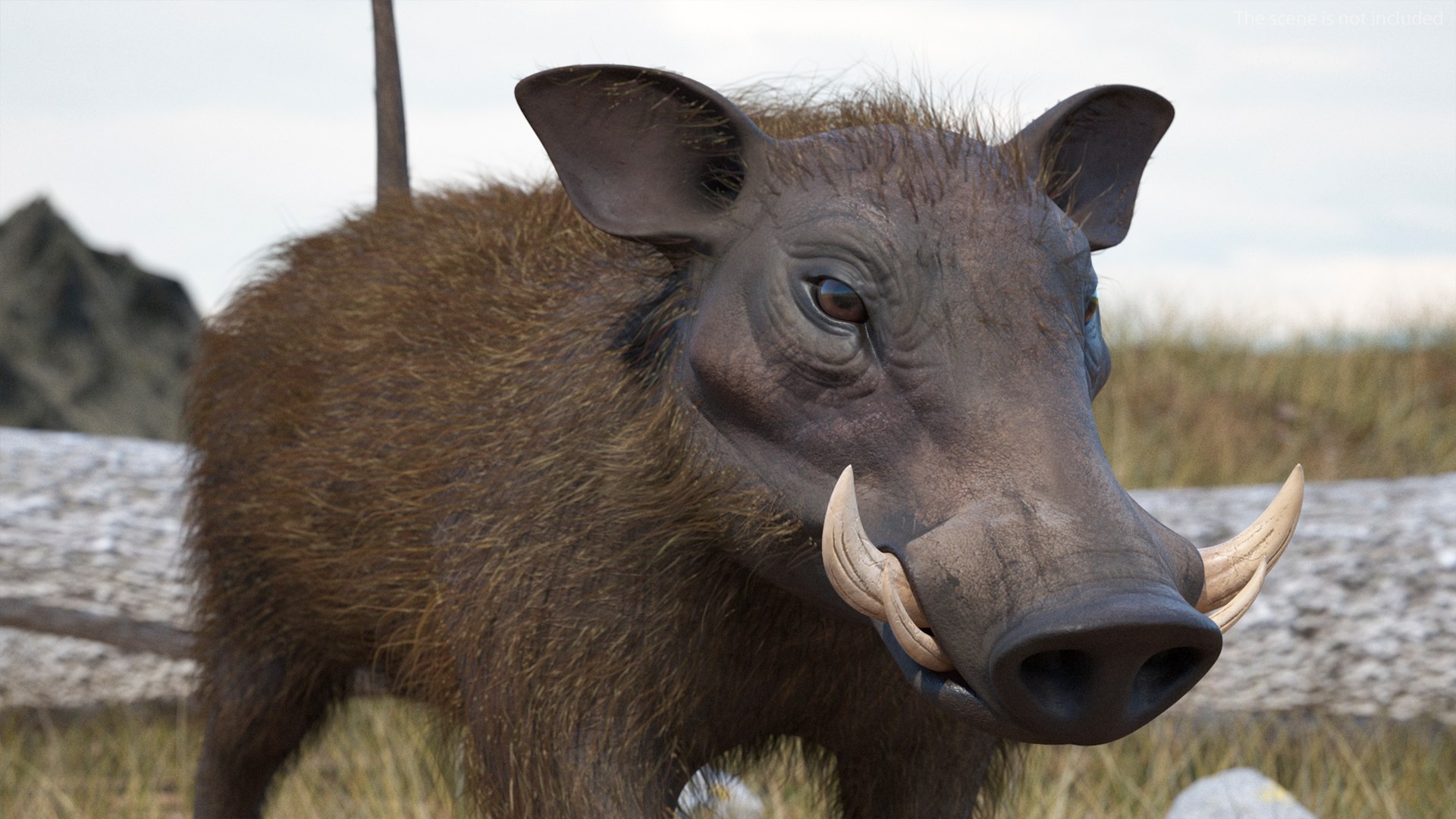 3D African Boar Walking Pose Fur - TurboSquid 2214570