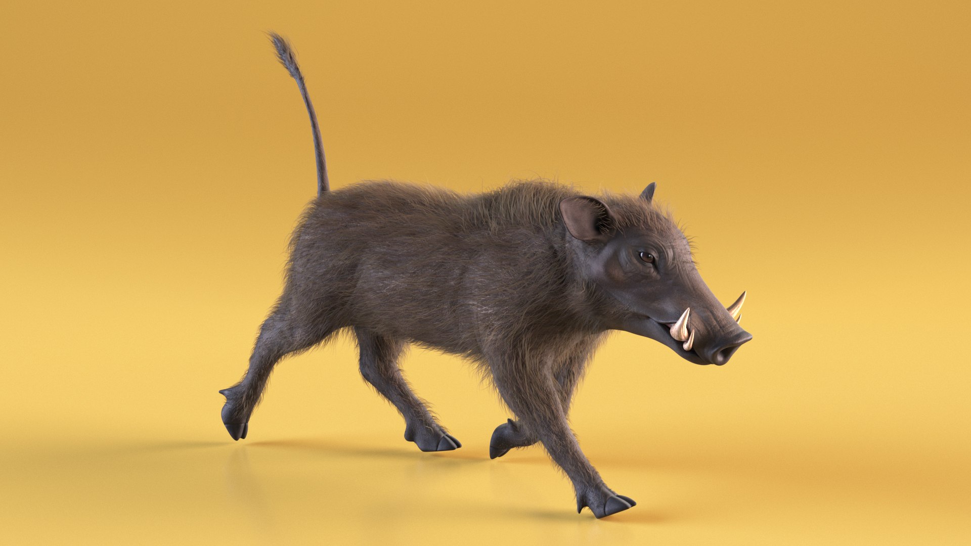3D African Boar Walking Pose Fur - TurboSquid 2214570