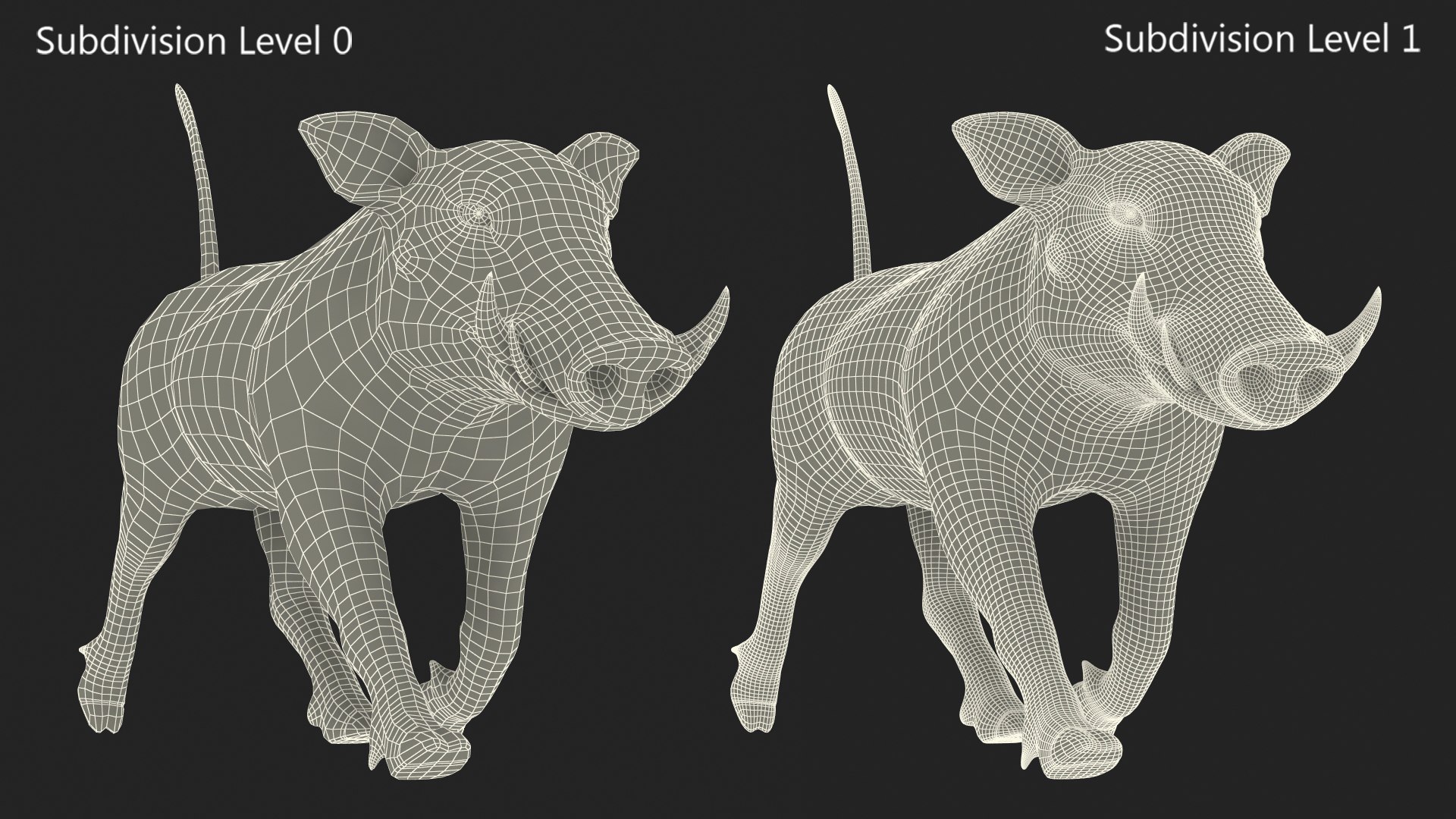 3D African Boar Walking Pose Fur - TurboSquid 2214570