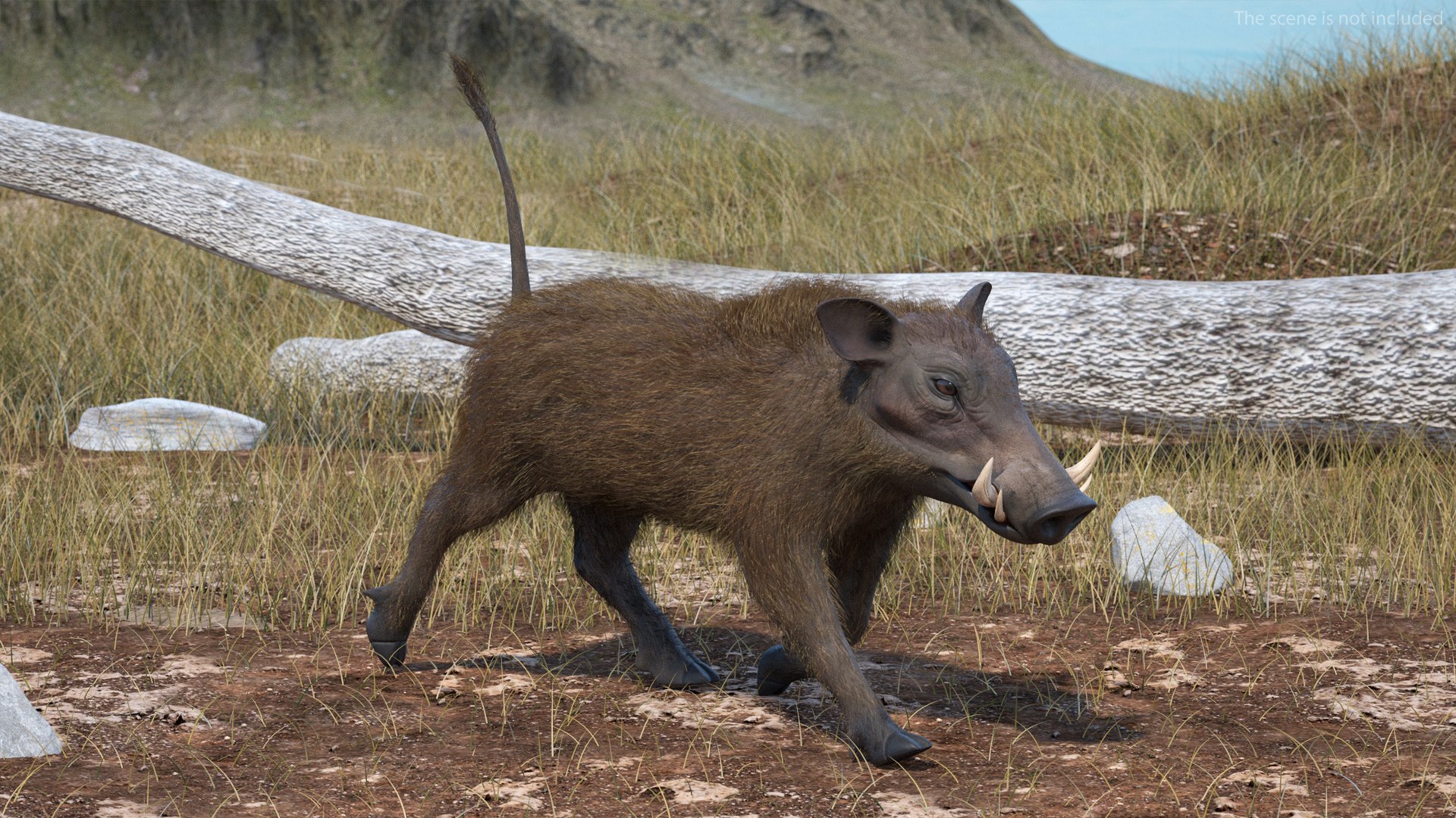 3D African Boar Walking Pose Fur - TurboSquid 2214570