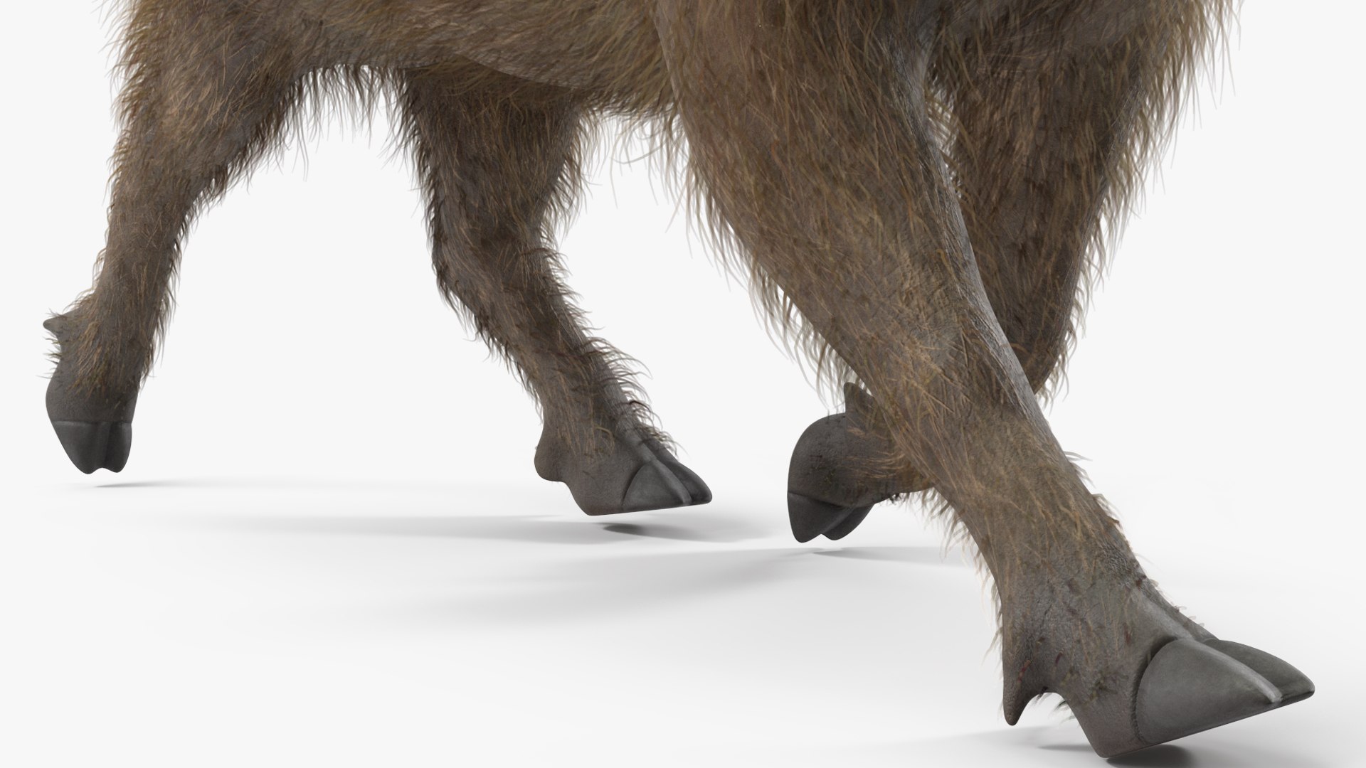 3D African Boar Walking Pose Fur - TurboSquid 2214570