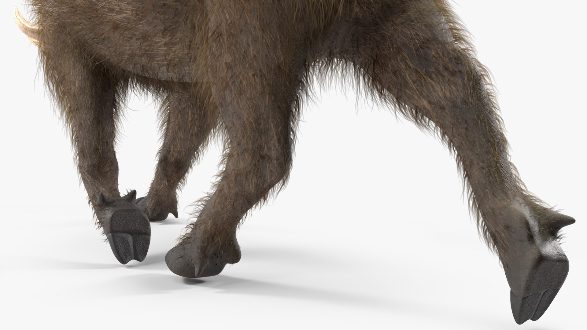 3D African Boar Walking Pose Fur - TurboSquid 2214570