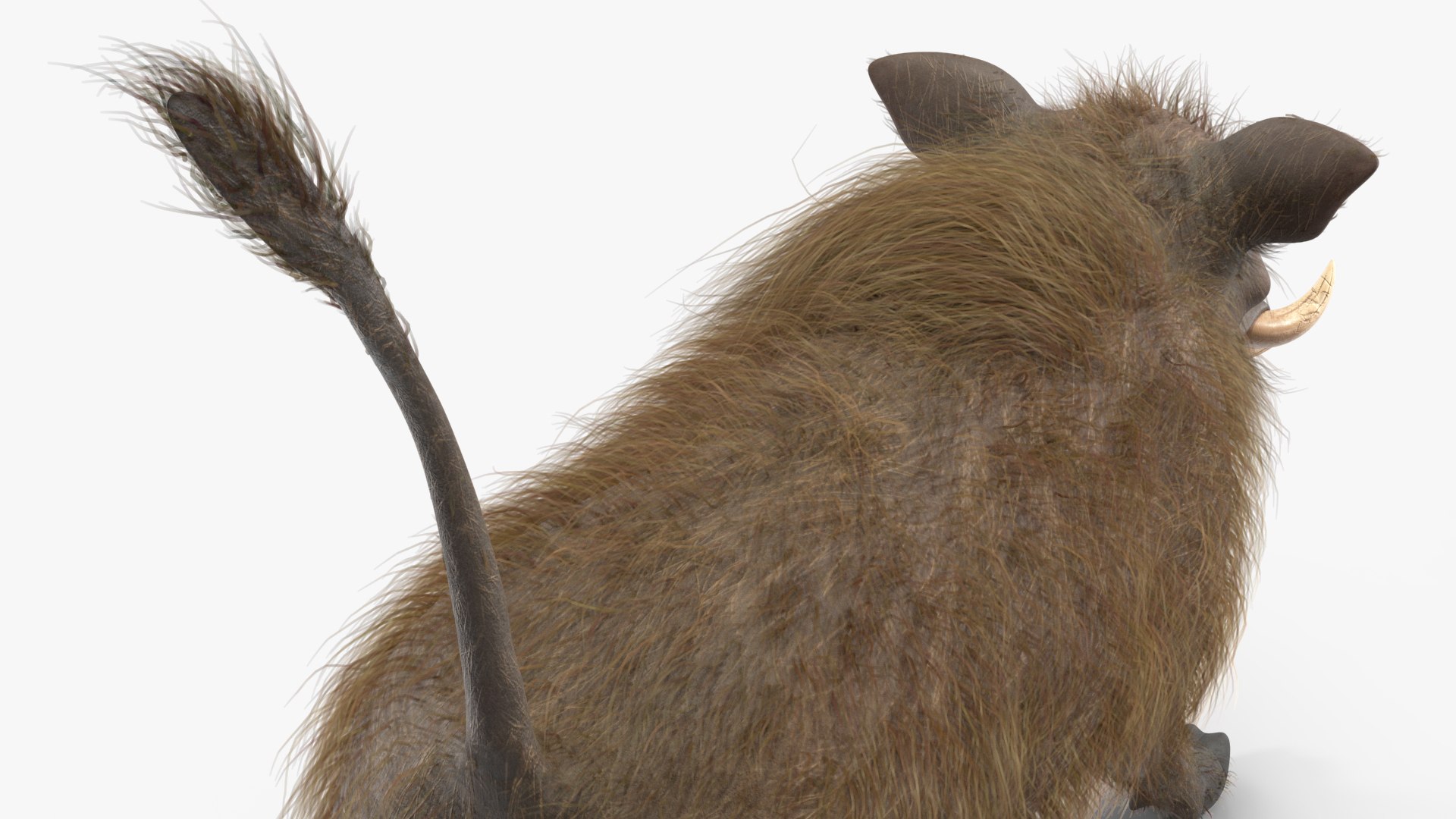 3D African Boar Walking Pose Fur - TurboSquid 2214570