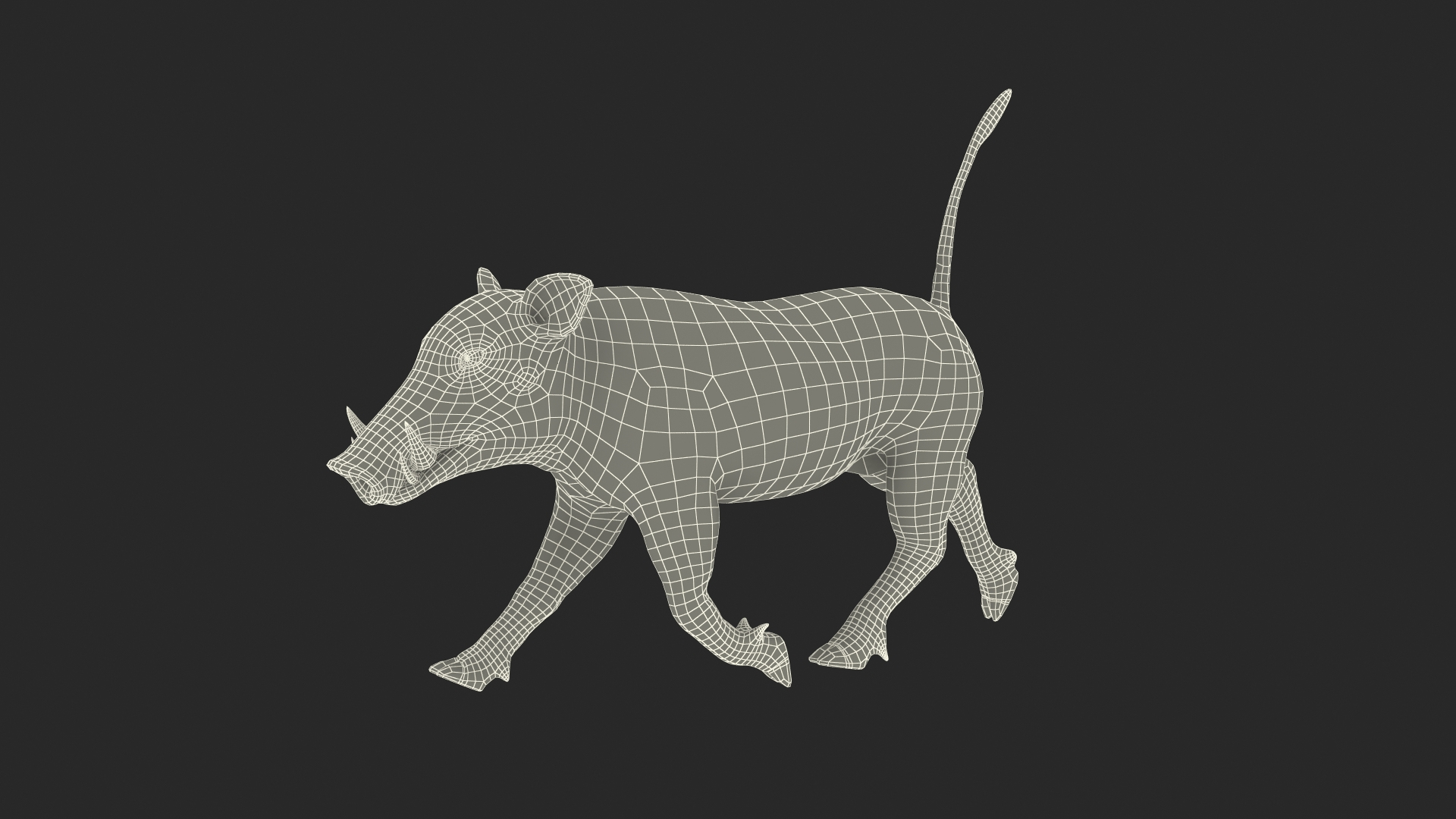 3D African Boar Walking Pose Fur - TurboSquid 2214570