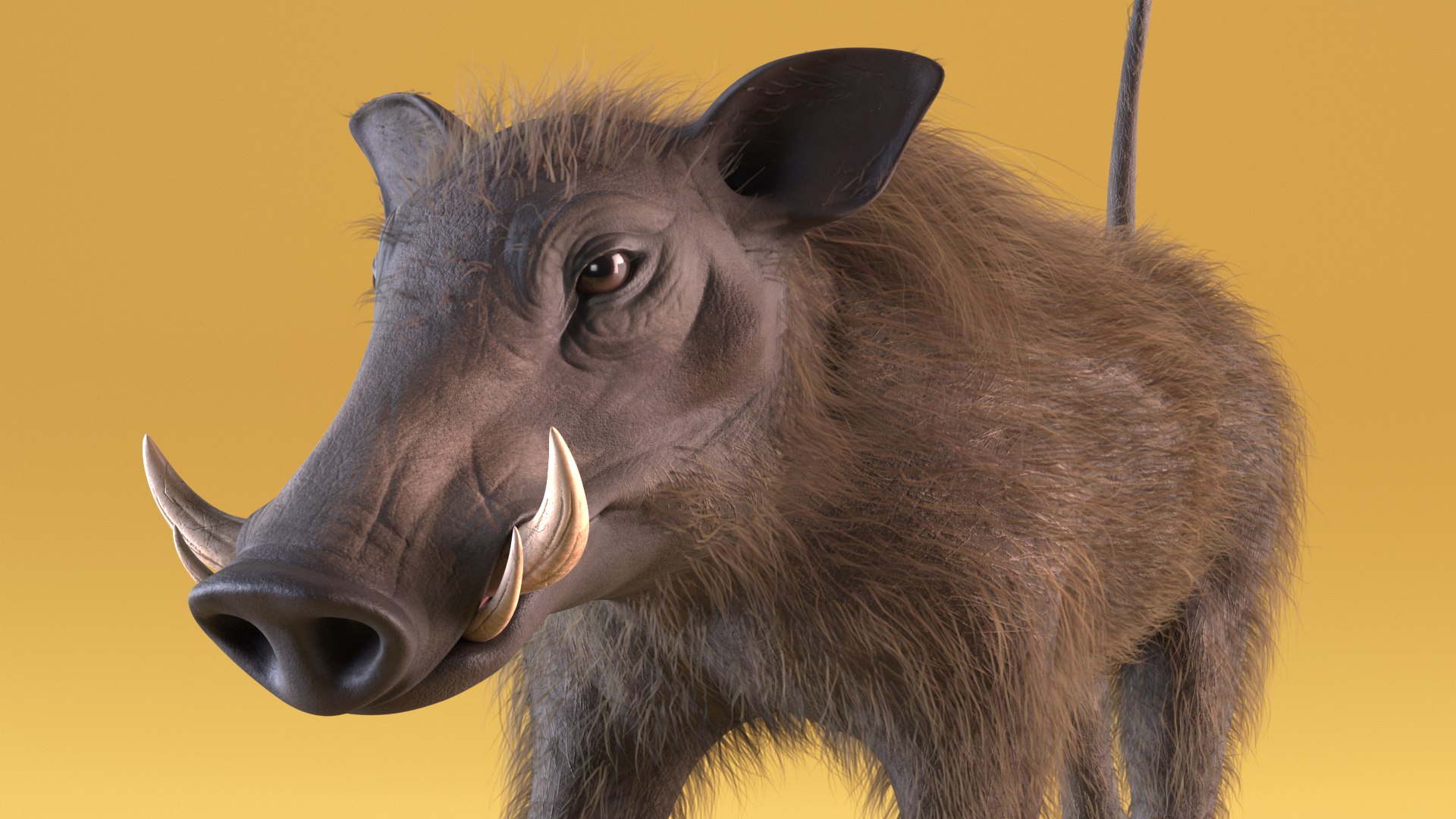 3D African Boar Walking Pose Fur - TurboSquid 2214570