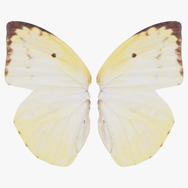 modelo 3d Lemon Emigrant remasterizado - TurboSquid 2359874