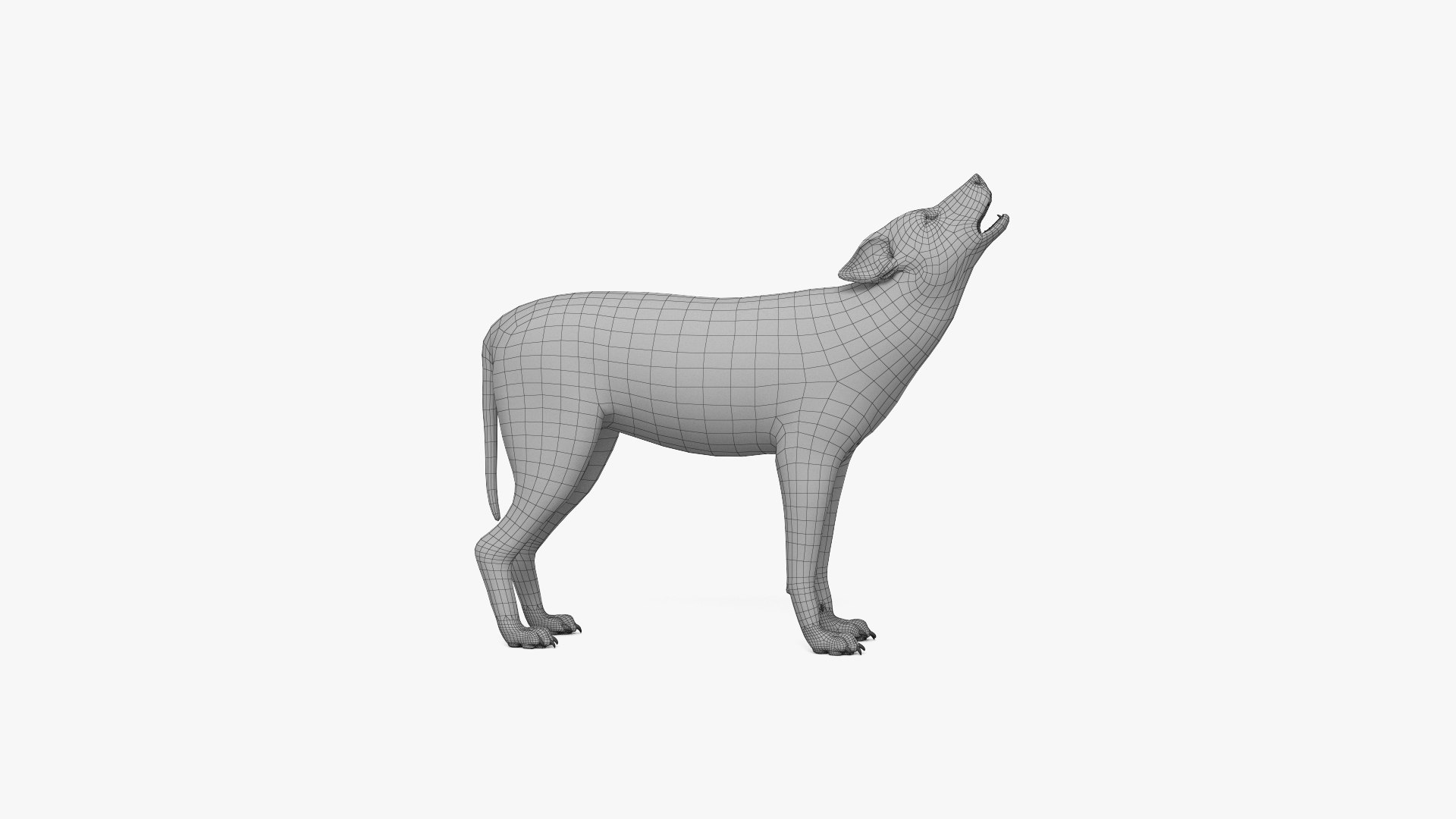 3D Howling Wolf Model - TurboSquid 2070951