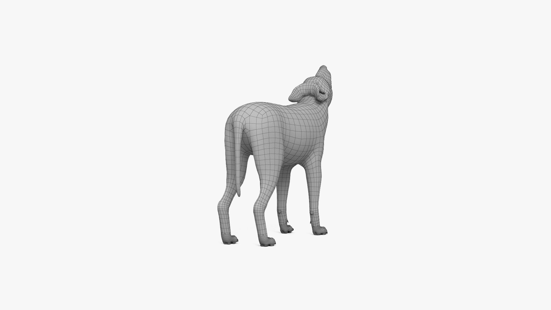 3D Howling Wolf Model - TurboSquid 2070951