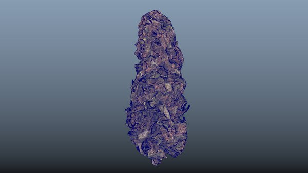 Marijuana bud photoscanned pbr model - TurboSquid 1494562