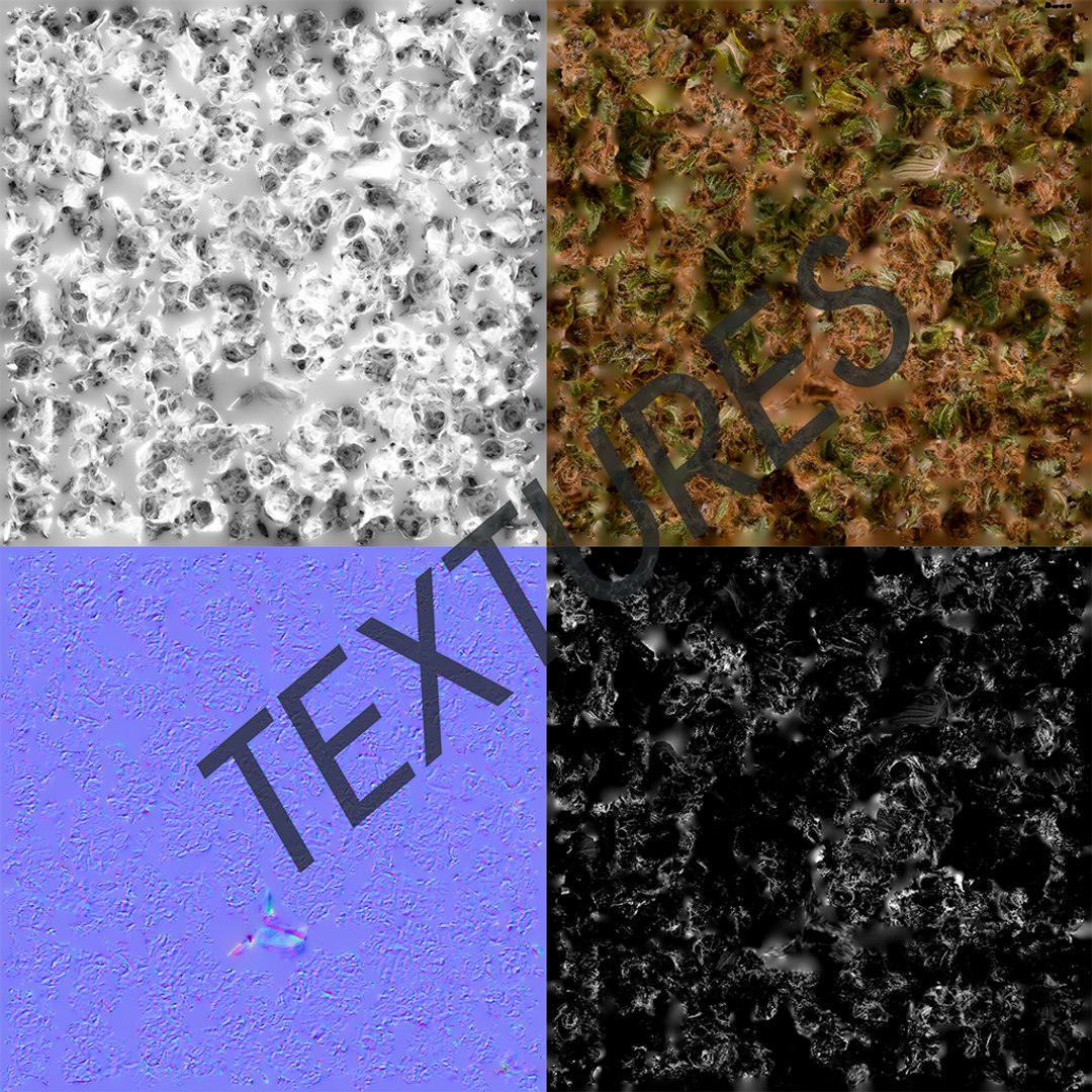 Marijuana Bud Photoscanned Pbr Model - TurboSquid 1494562