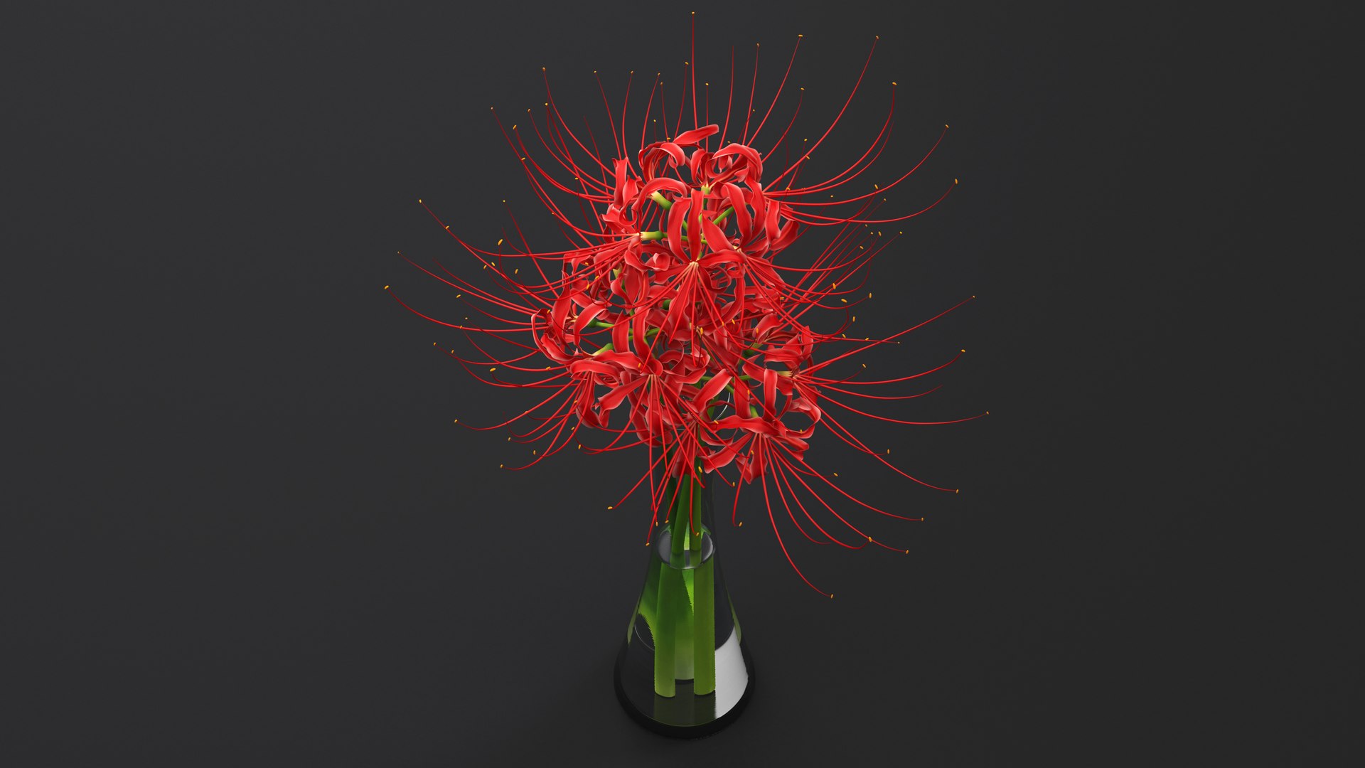 3D Bouquet Of Spider Lilies In Glass Vase Model - TurboSquid 2045810