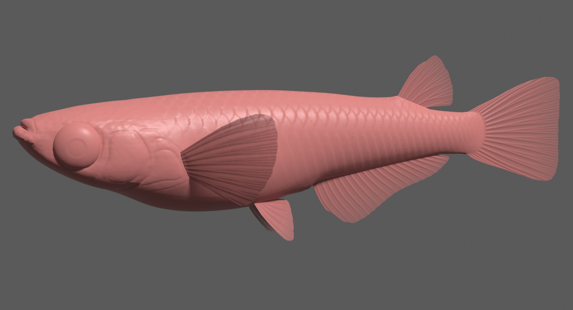 Japanese Rice Fish Swimming 3ds